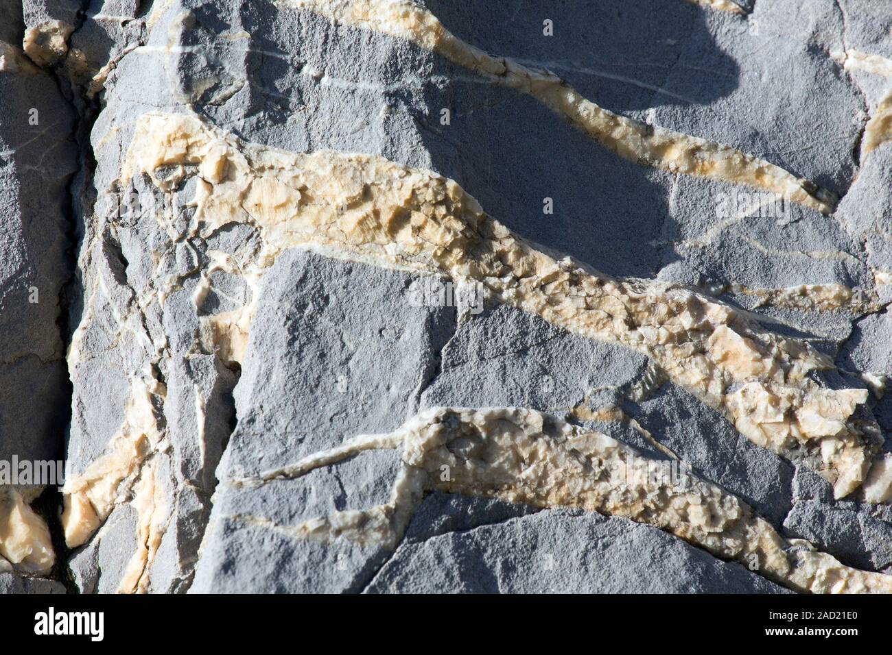 Calcite crystals have formed in a series of joints within blue-greyish ...