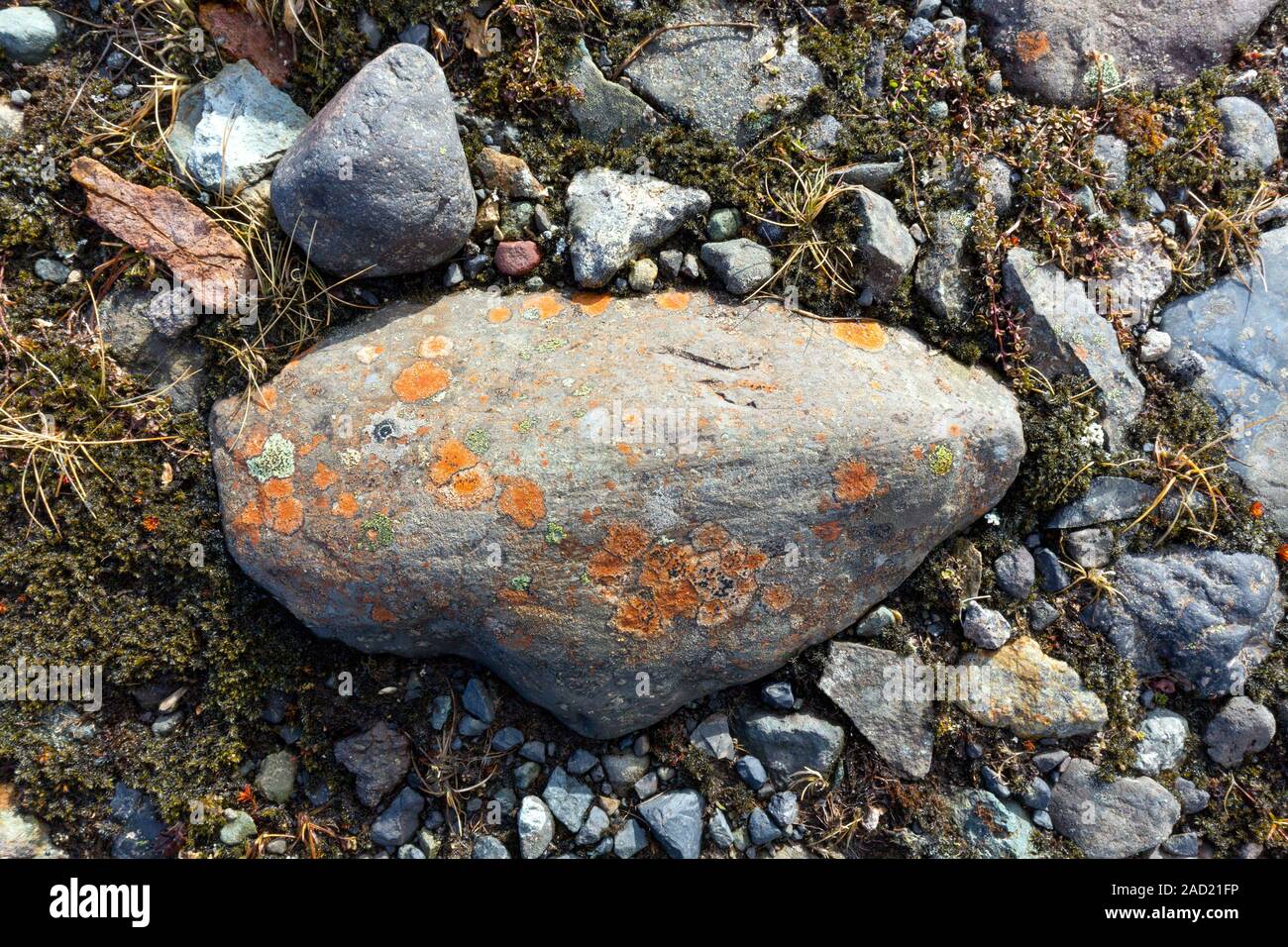 Glacial erosion has given this small erratic its streamlined shape ...