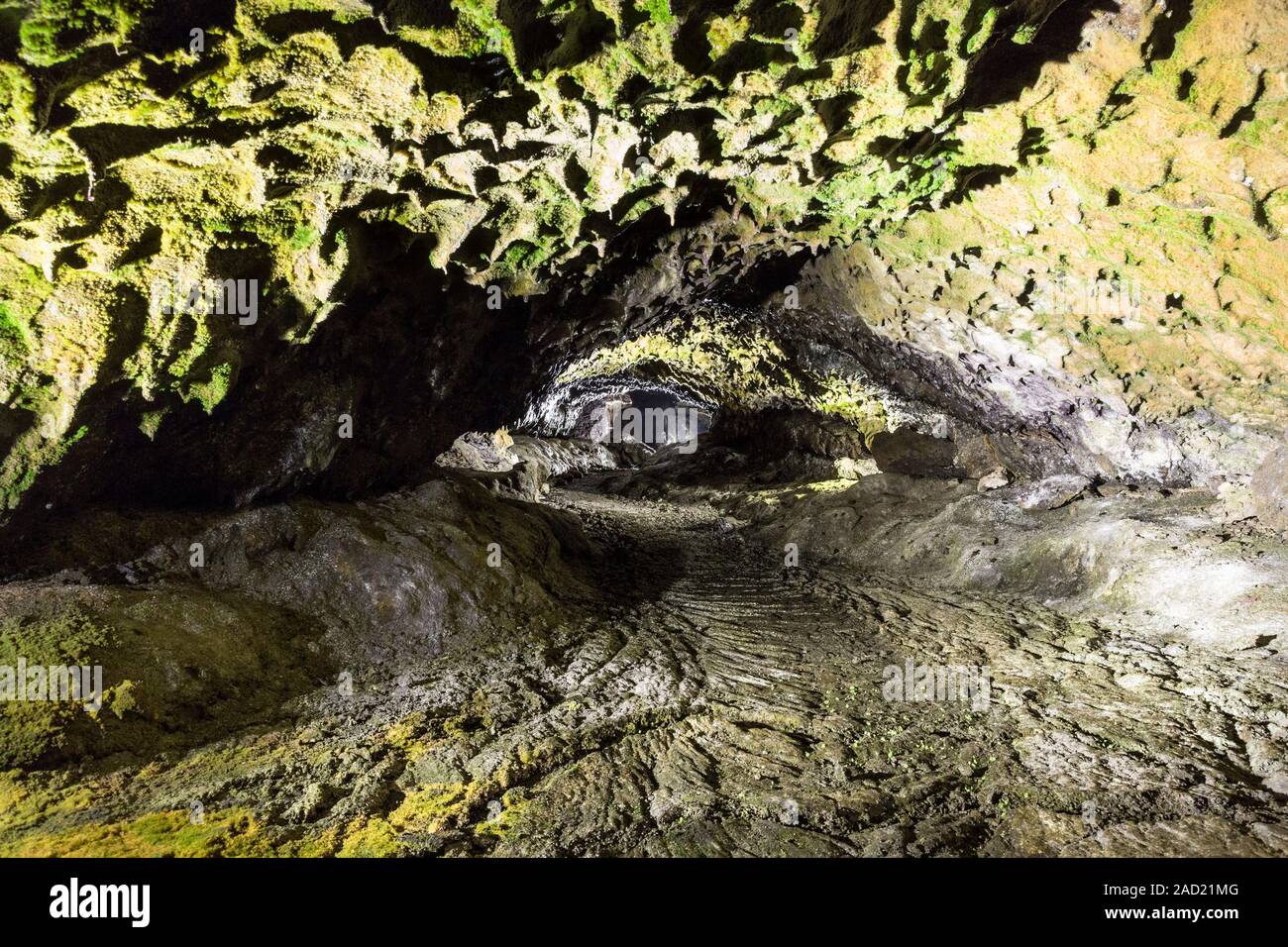 Lava tube near Sao Vicente, Madeira. Lava tubes are formed when lava ...