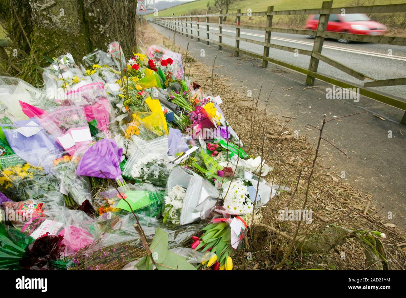 Memorial of a car crash victim in the Lake District Stock Photo - Alamy
