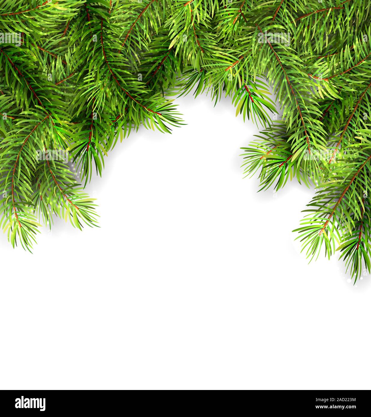 Natural Framework with Fir Twigs Stock Photo - Alamy