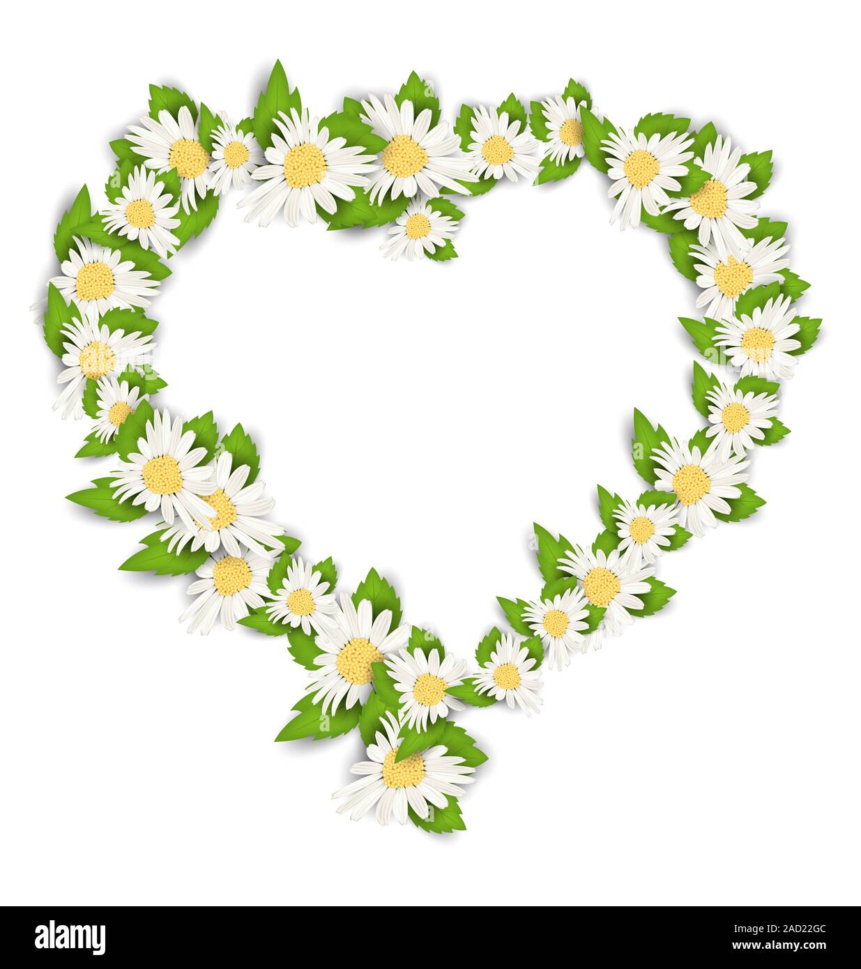 Daisy Flowers in Form Heart Isolated on White Background Stock Photo ...