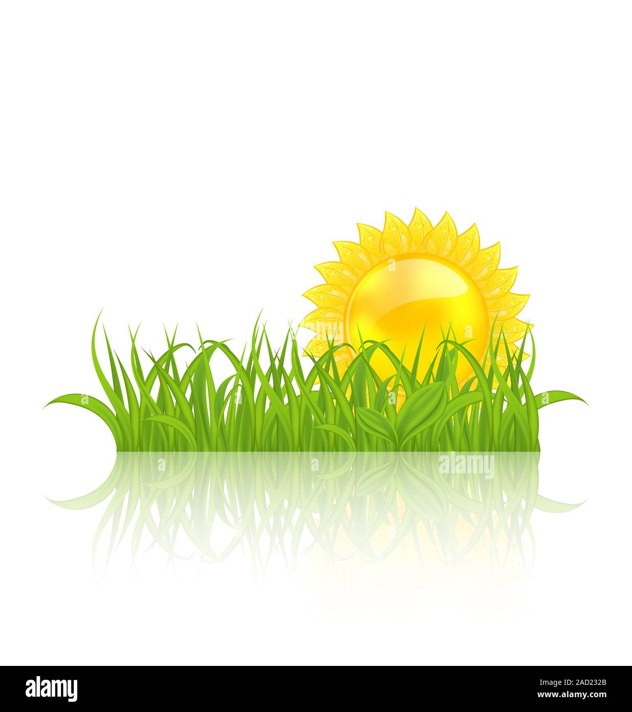 Field of yellow grass Cut Out Stock Images & Pictures - Alamy