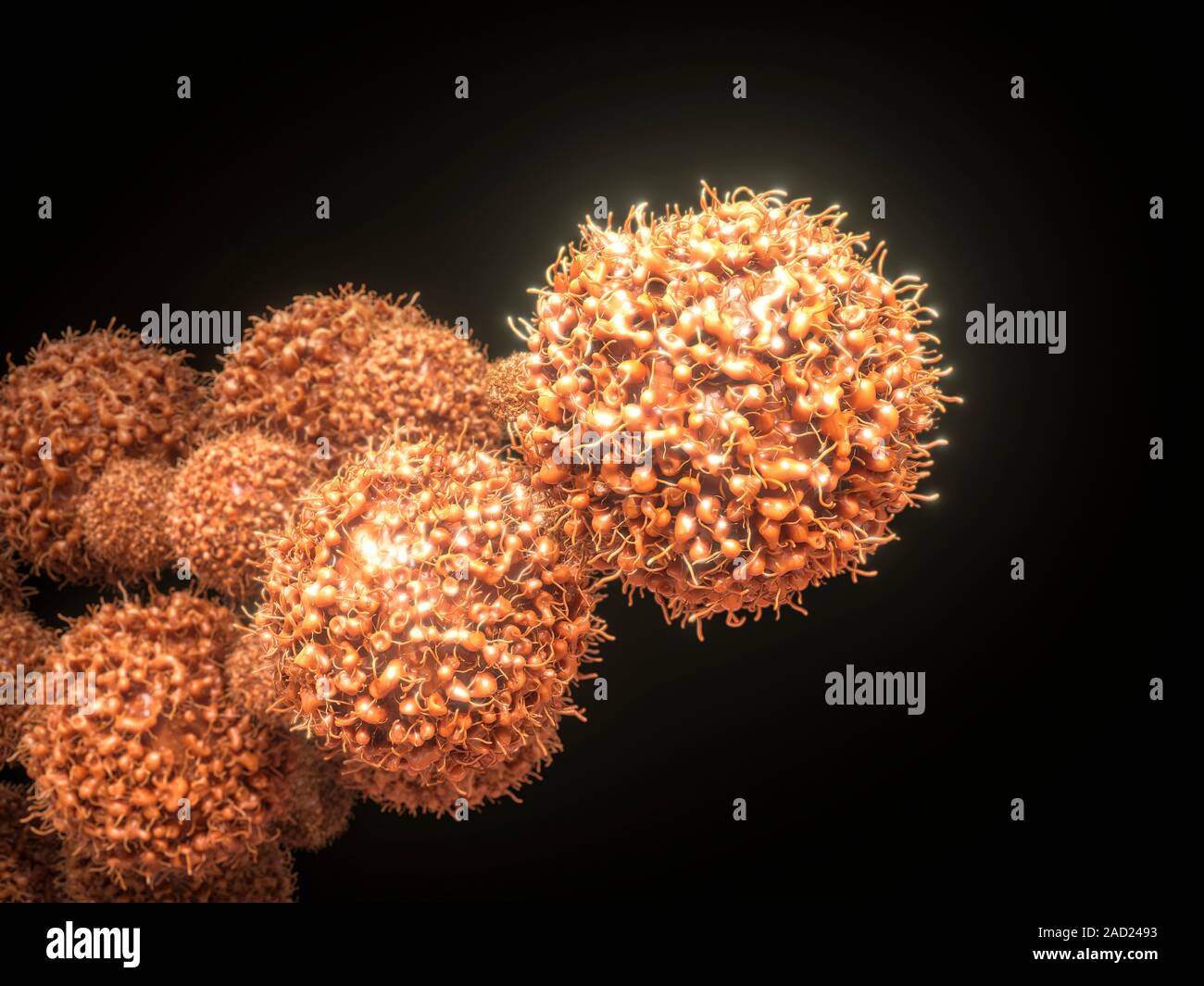 Cancer cells, 3D computer illustration. Cancerous (malignant) cells ...