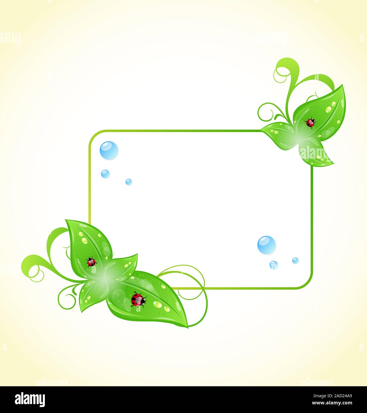 Eco friendly frame with green leaves and ladybugs Stock Photo - Alamy