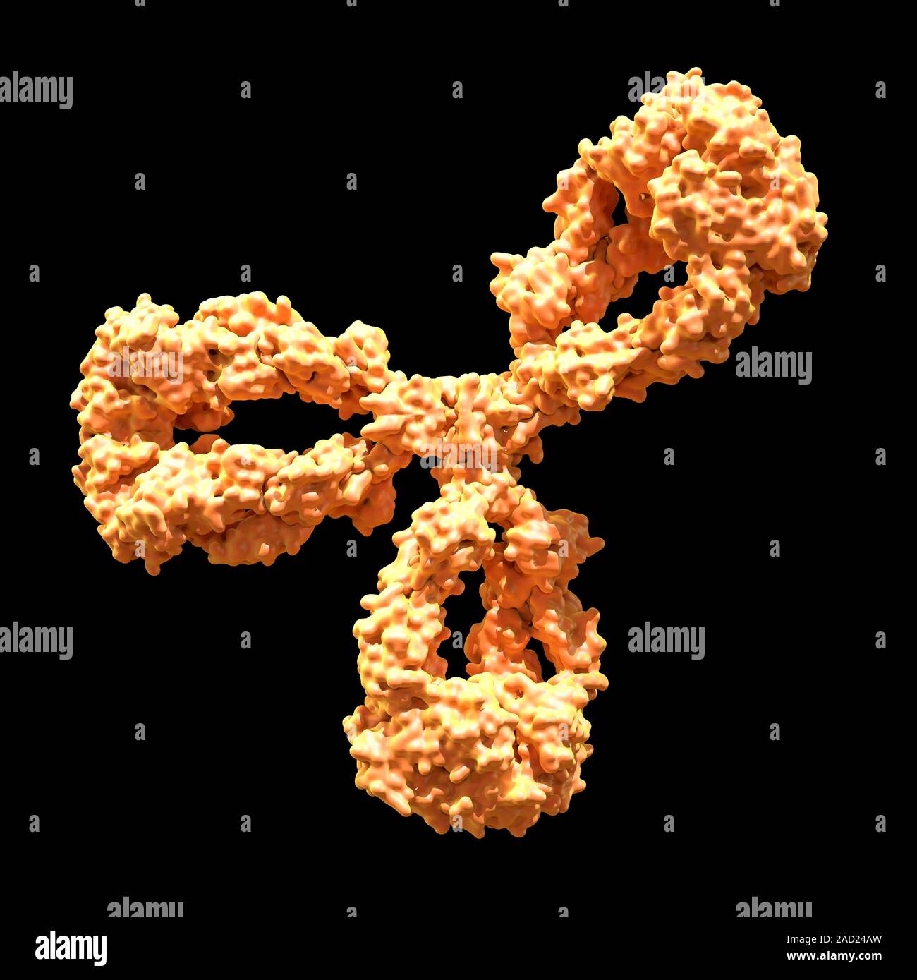 Cetuximab chemotherapy drug. 3D computer illustration showing the ...