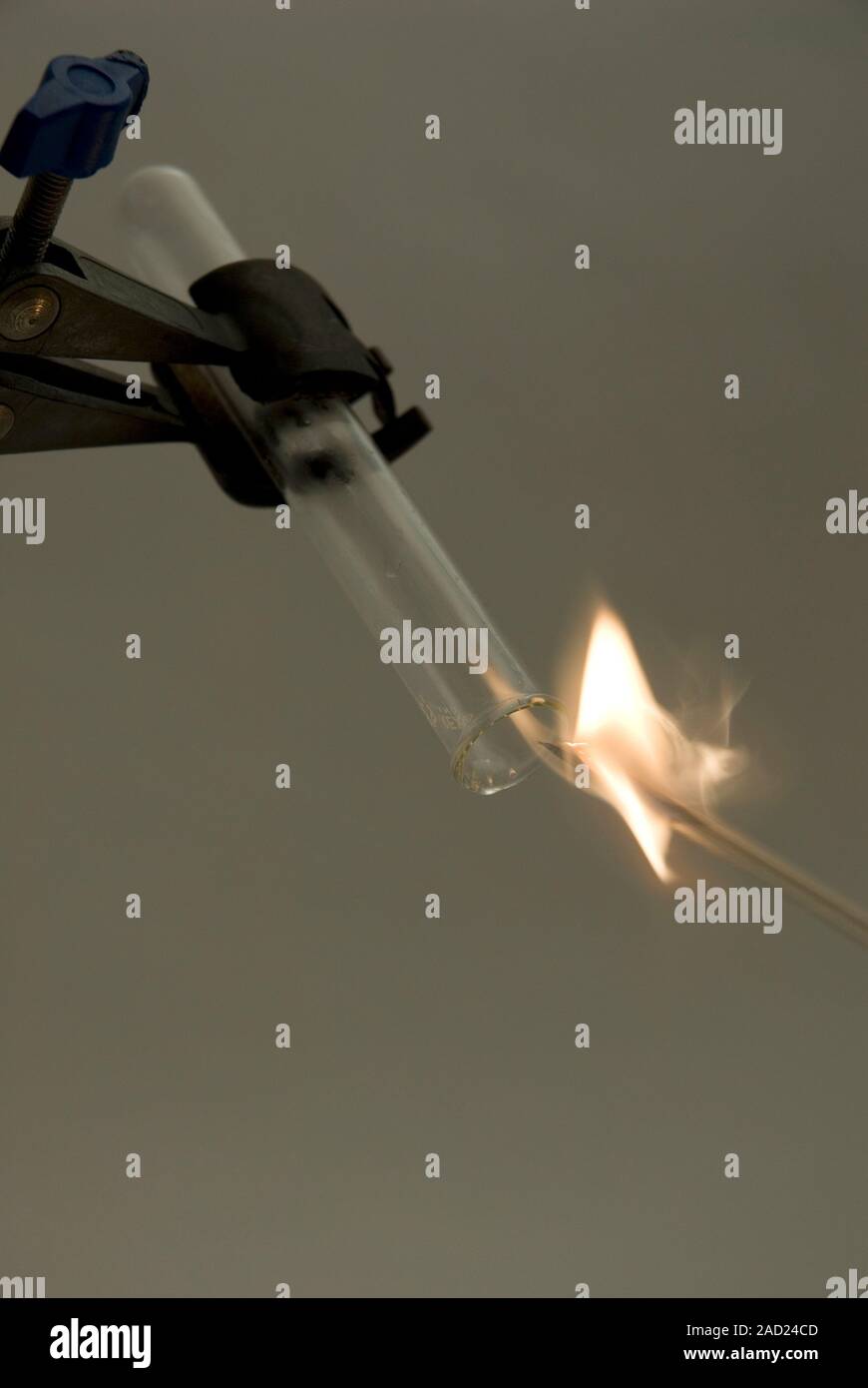 Lit splint test for hydrogen gas. Lit splint after being placed at the ...