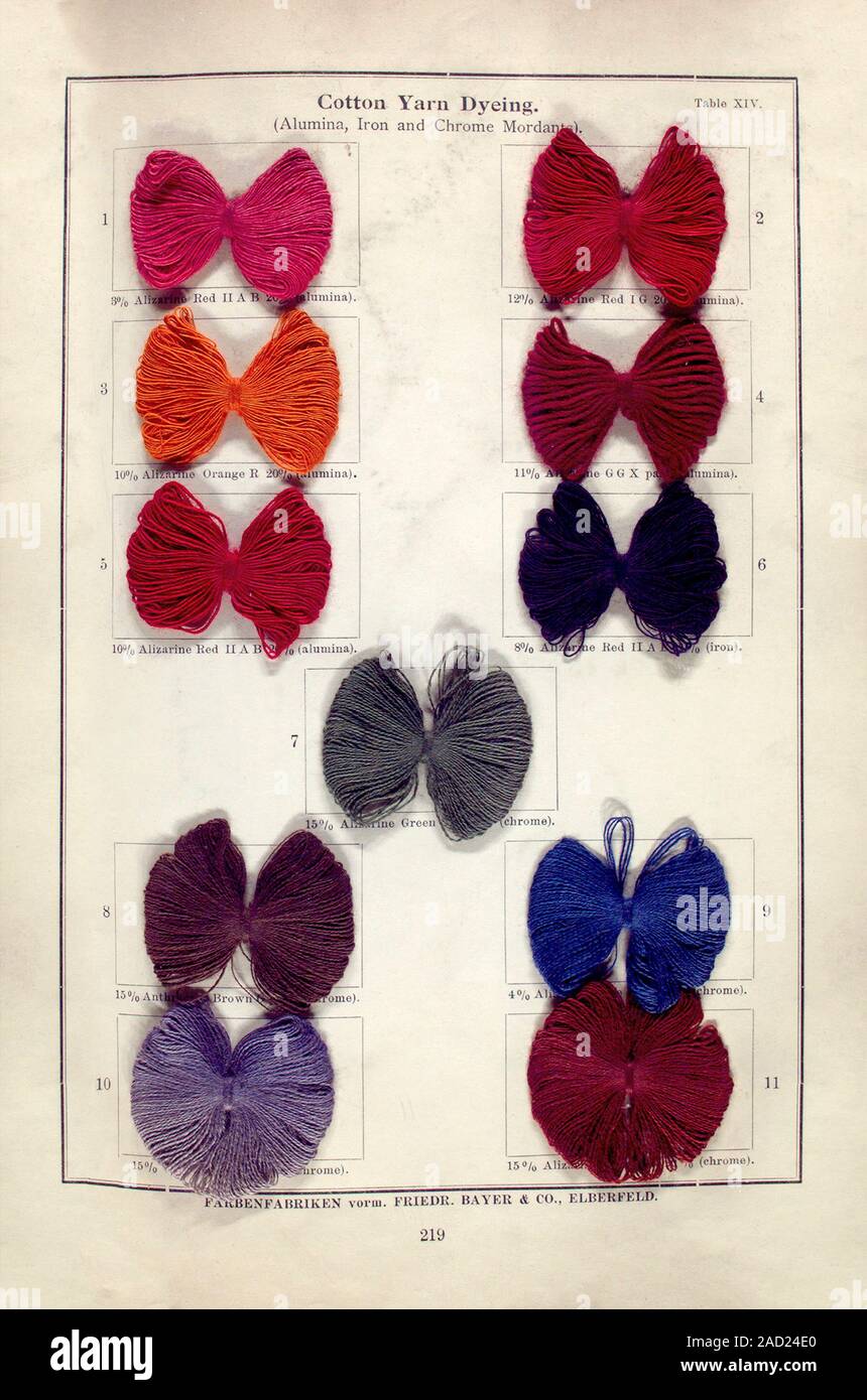 Dyed cotton yarn samples, using aluminium, iron and chrome mordants. A ...