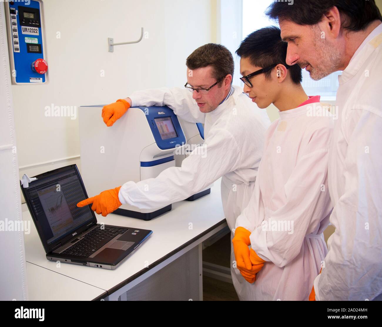 Genetic PCR analysis. Researchers examining results on a laptop (lower ...