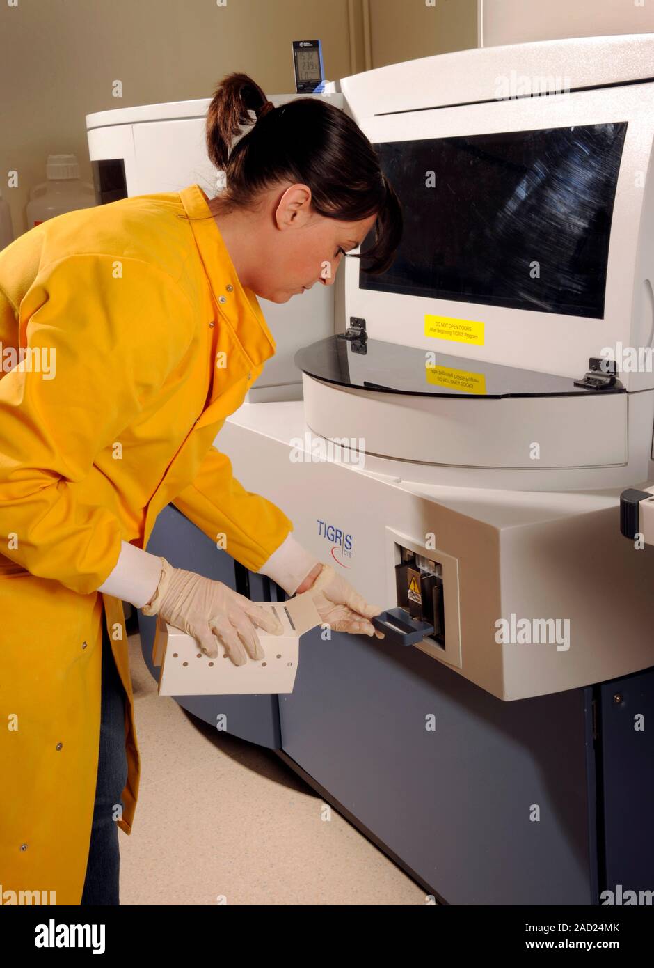 Molecular diagnostics. Researcher using a Tigris DTS (direct tube ...
