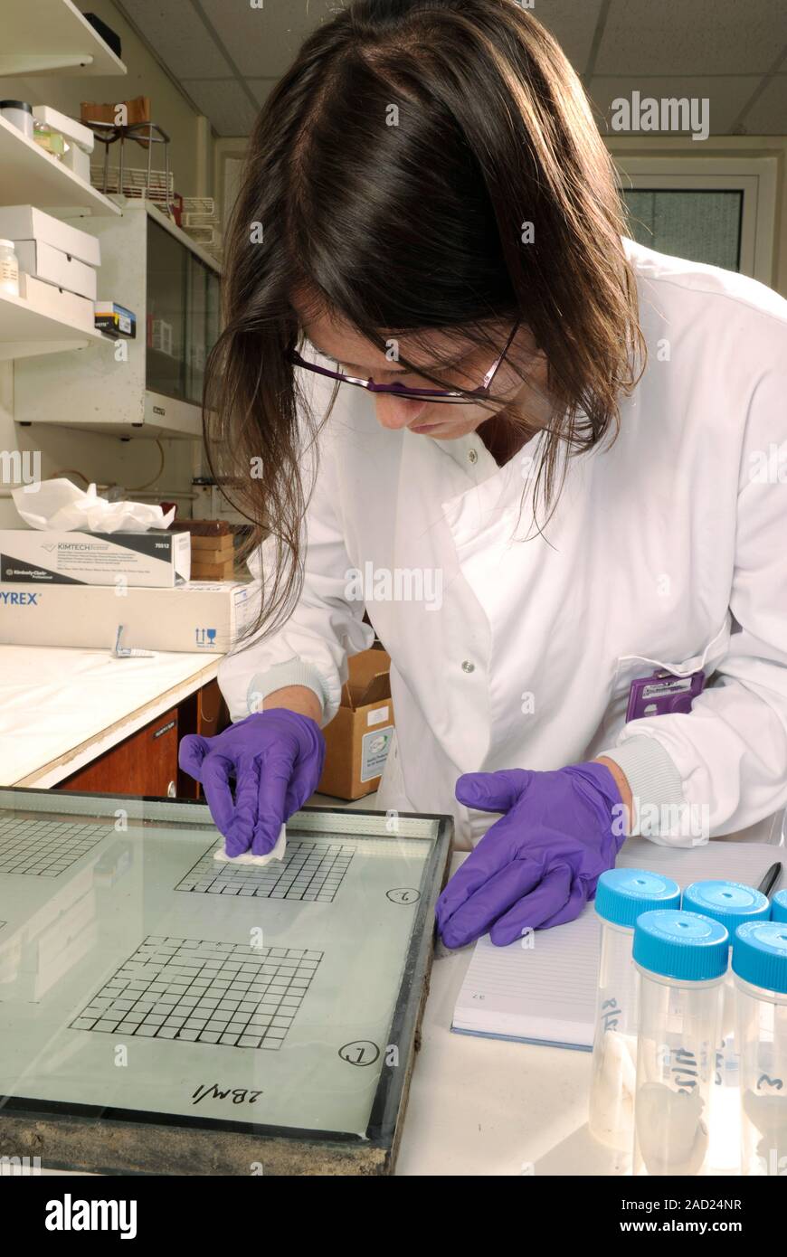 Laboratory dosimeter use. Researcher carrying out analysis in a ...