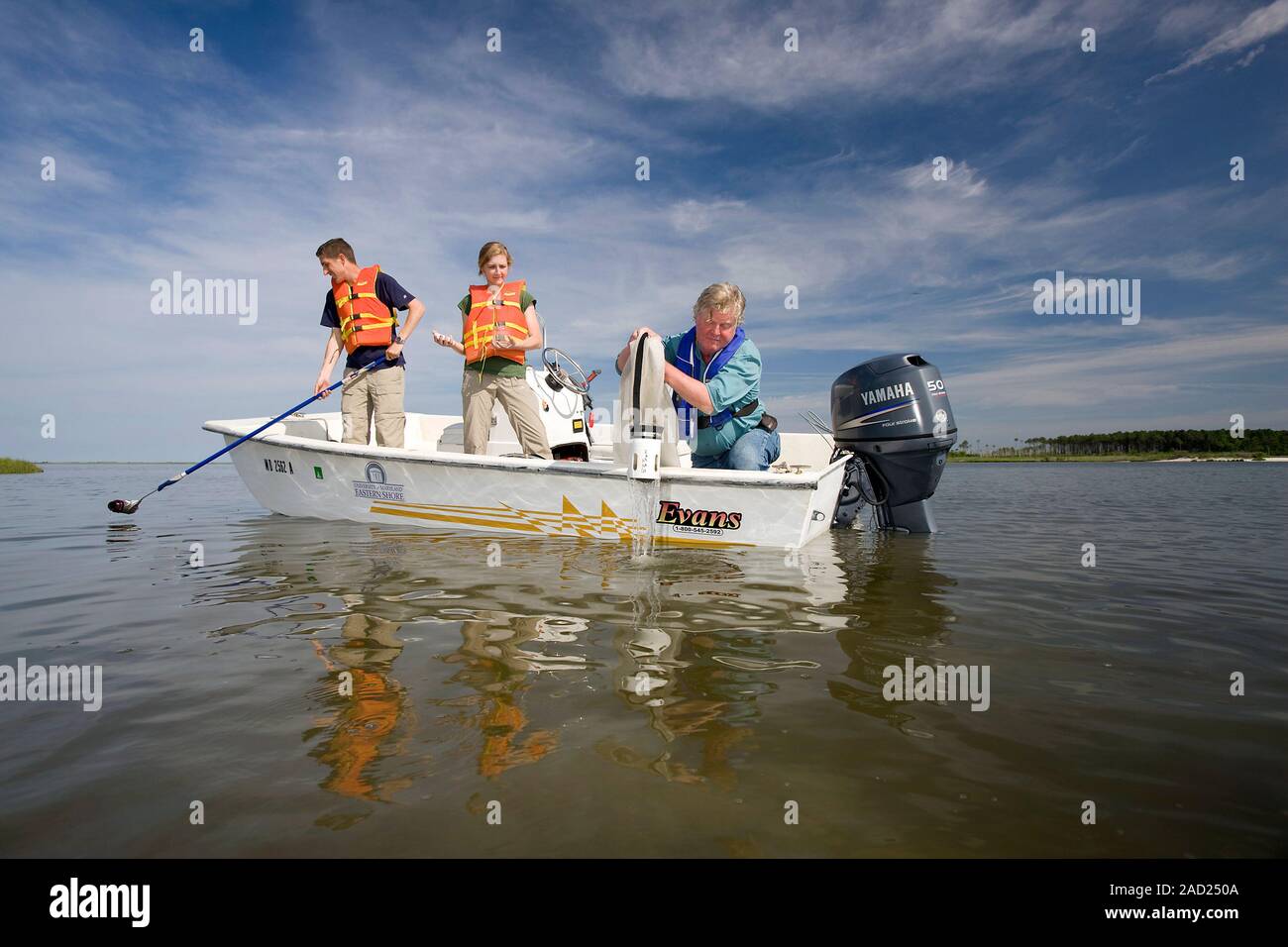 Phytoplankton bloom research. Scientist retrieving a plankton net from ...