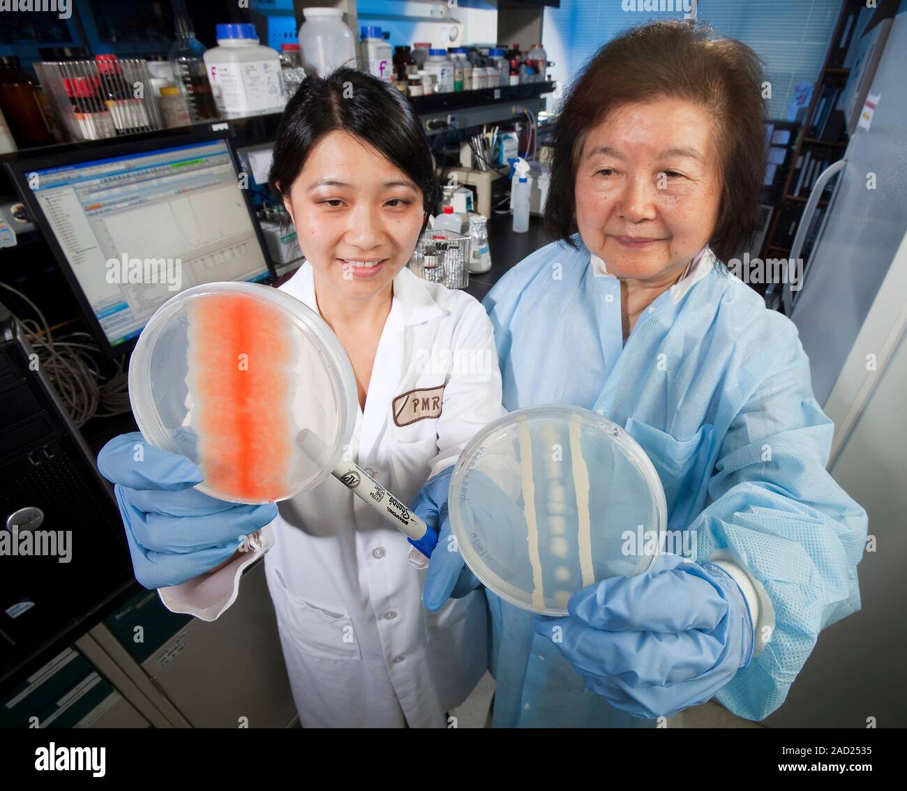 Fungal biological control research. Plant physiologist and technician ...