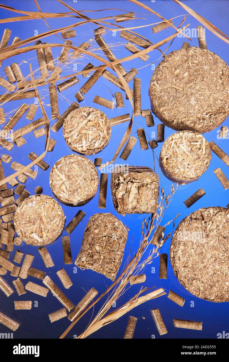 Switchgrass fuel pellets. Assortment of pellets, cubes and round ...