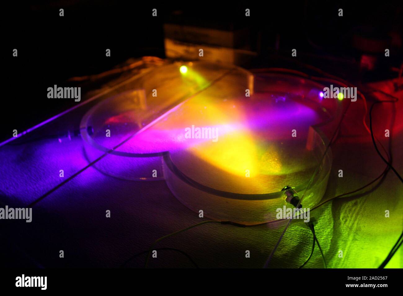 Insect attraction research. Different wavelengths and colours of light ...