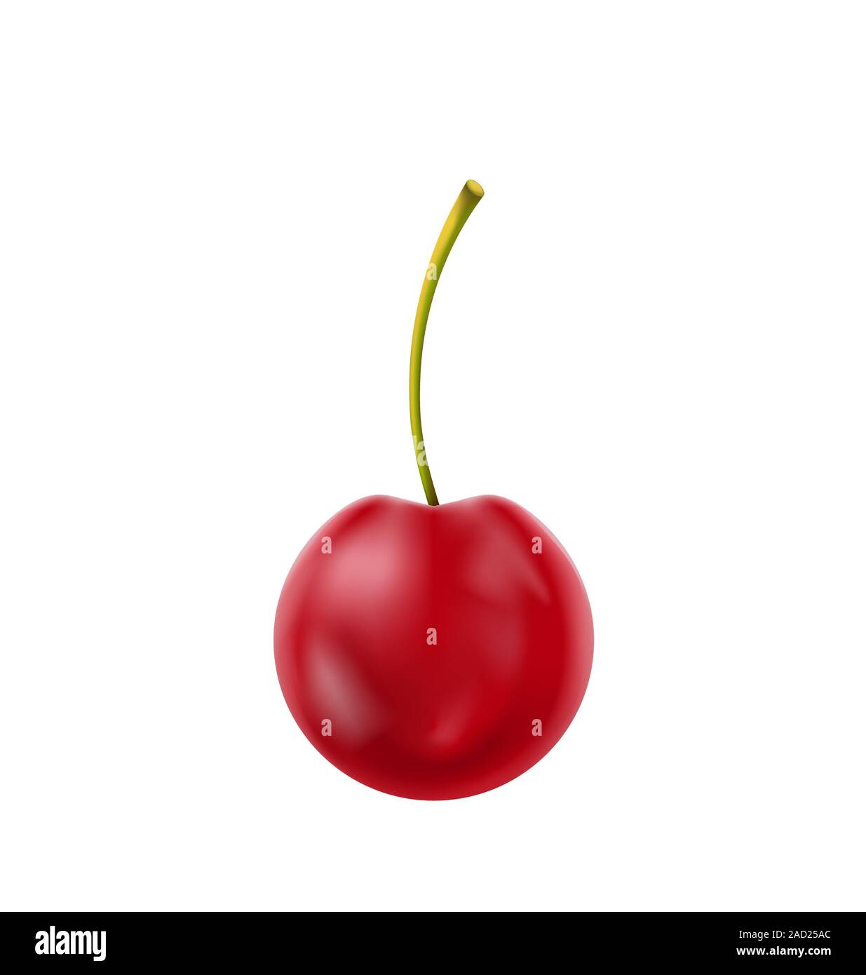 Single Realistic Cherry Isolated on White Background Stock Photo - Alamy
