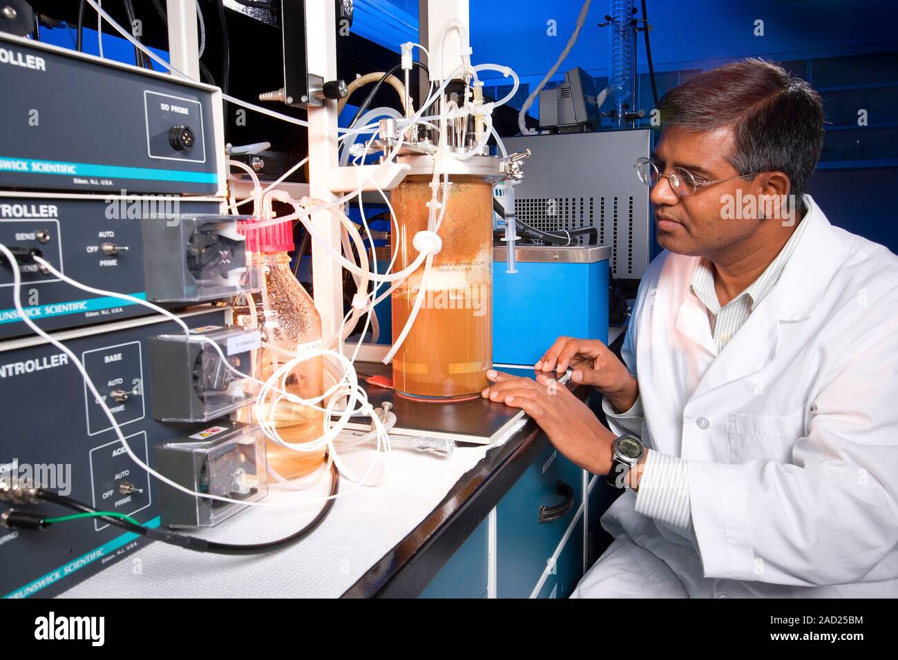 Biofuel research. Chemical engineer observing a fermenter in which ...