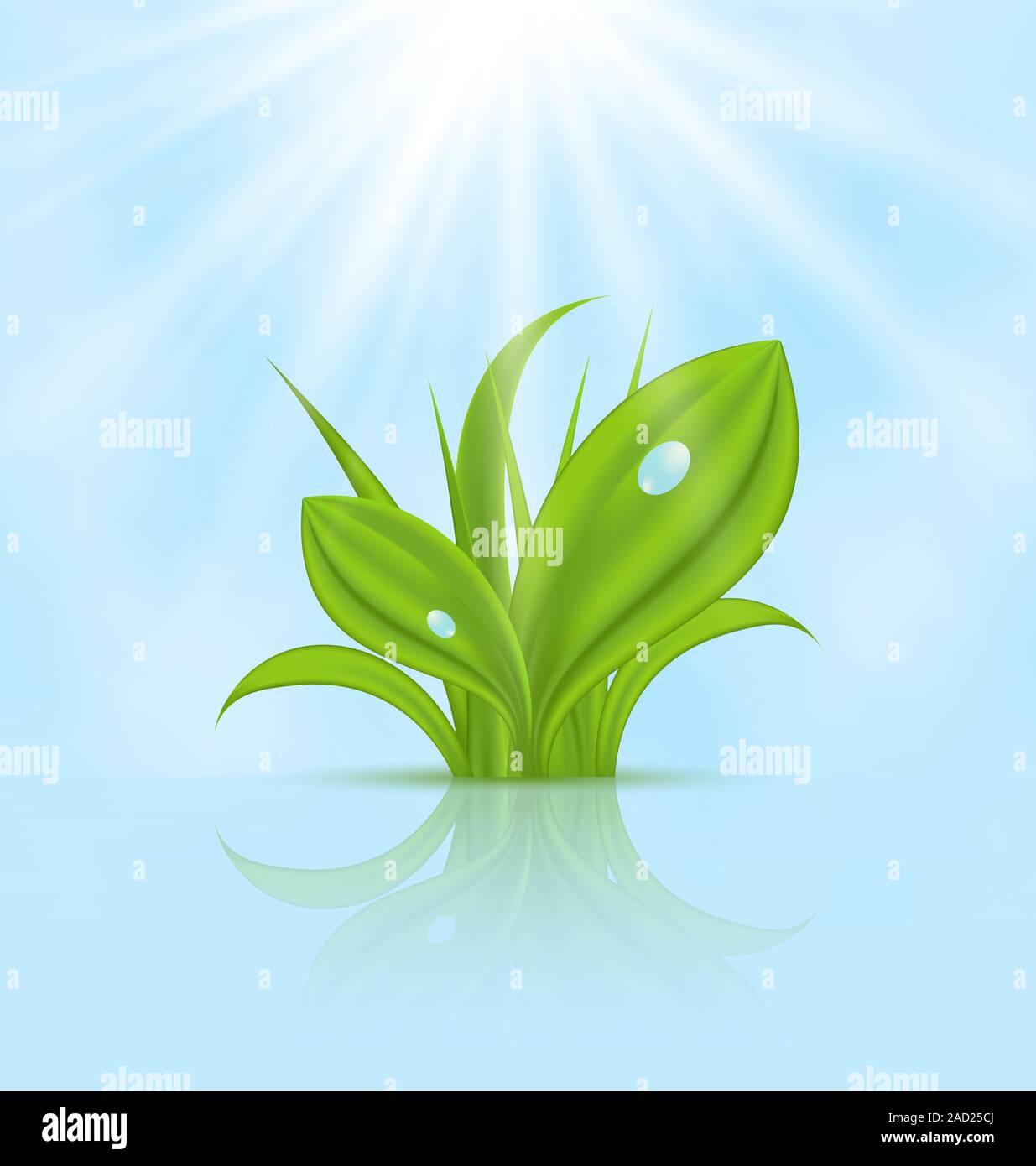 Spring wallpaper with green grass Stock Photo - Alamy