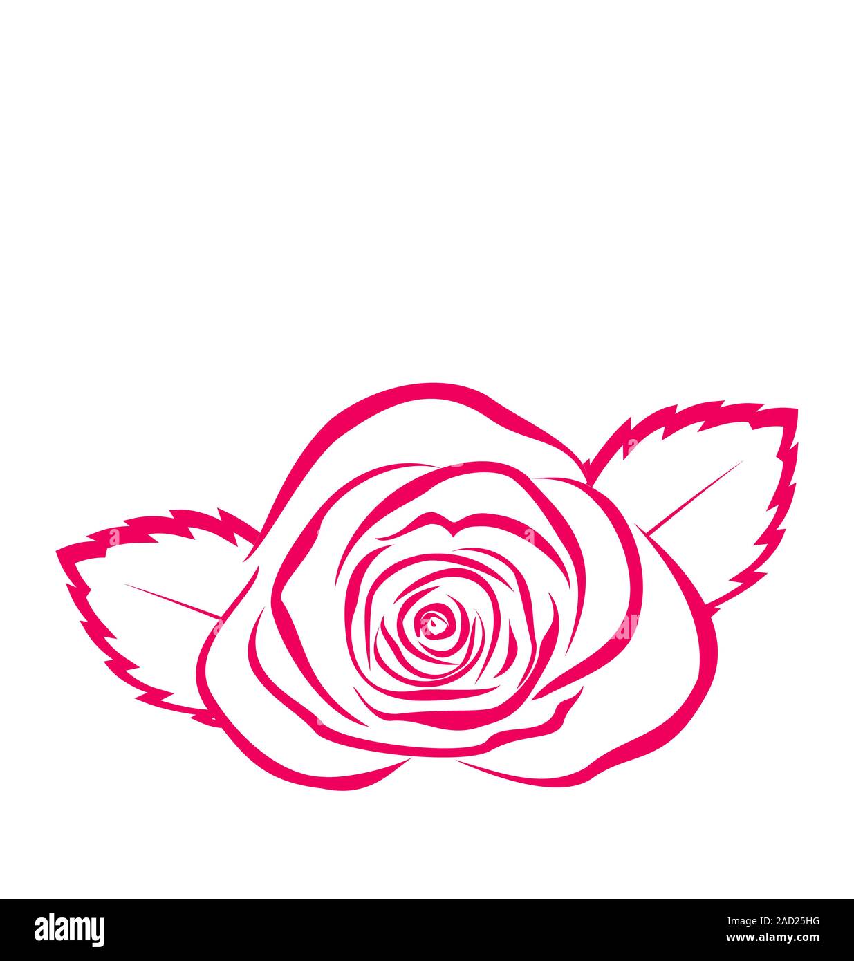 Contour rose in hand Cut Out Stock Images & Pictures - Alamy