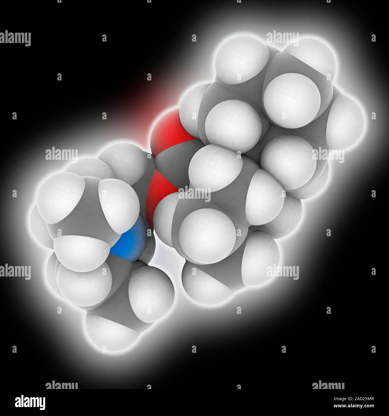Dicyclomine. Molecular model of the drug dicyclomine (C19.H35.N.O2 ...
