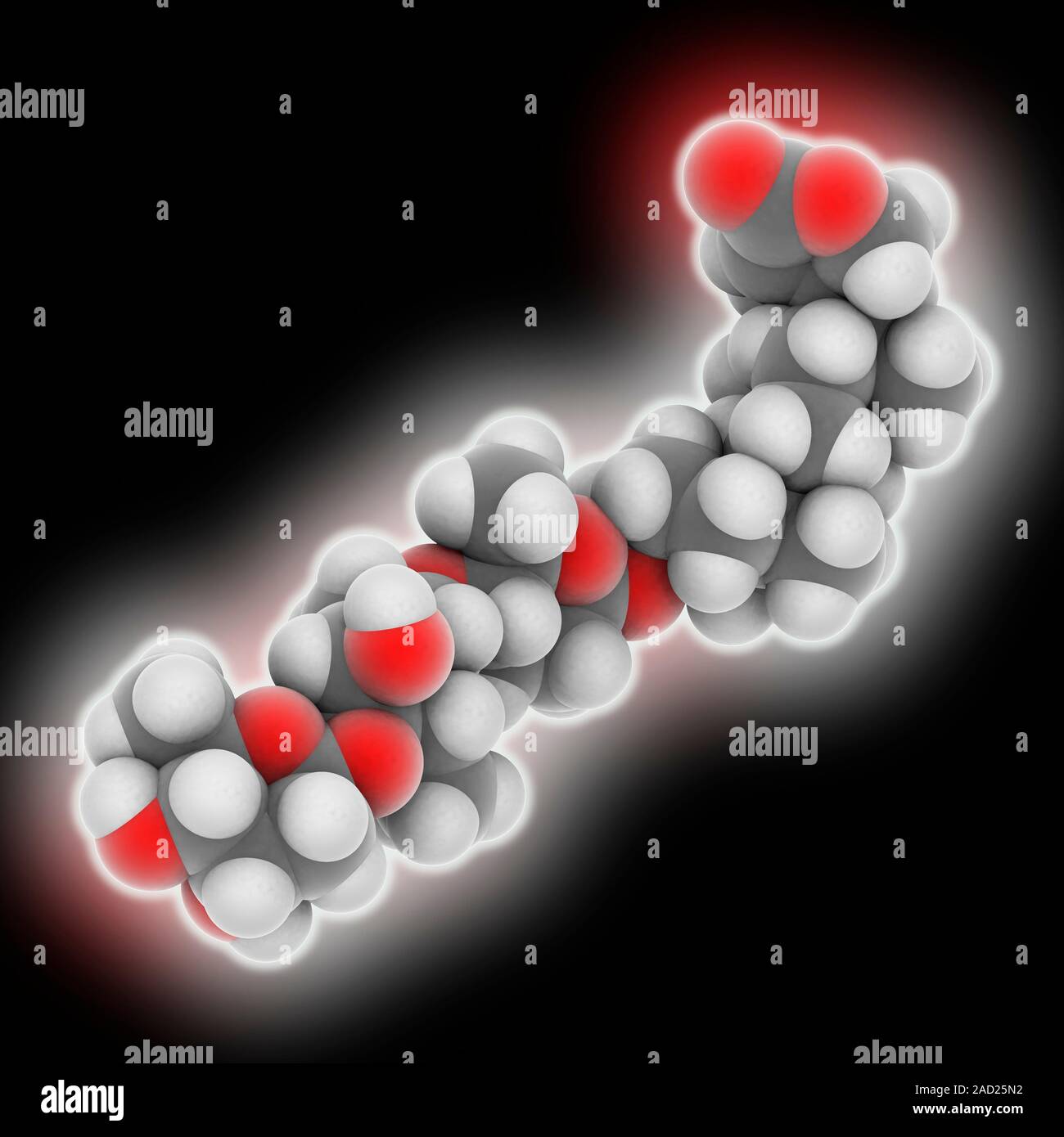 Digitoxin. Molecular model of the cardiac glycoside chemical digitoxin ...