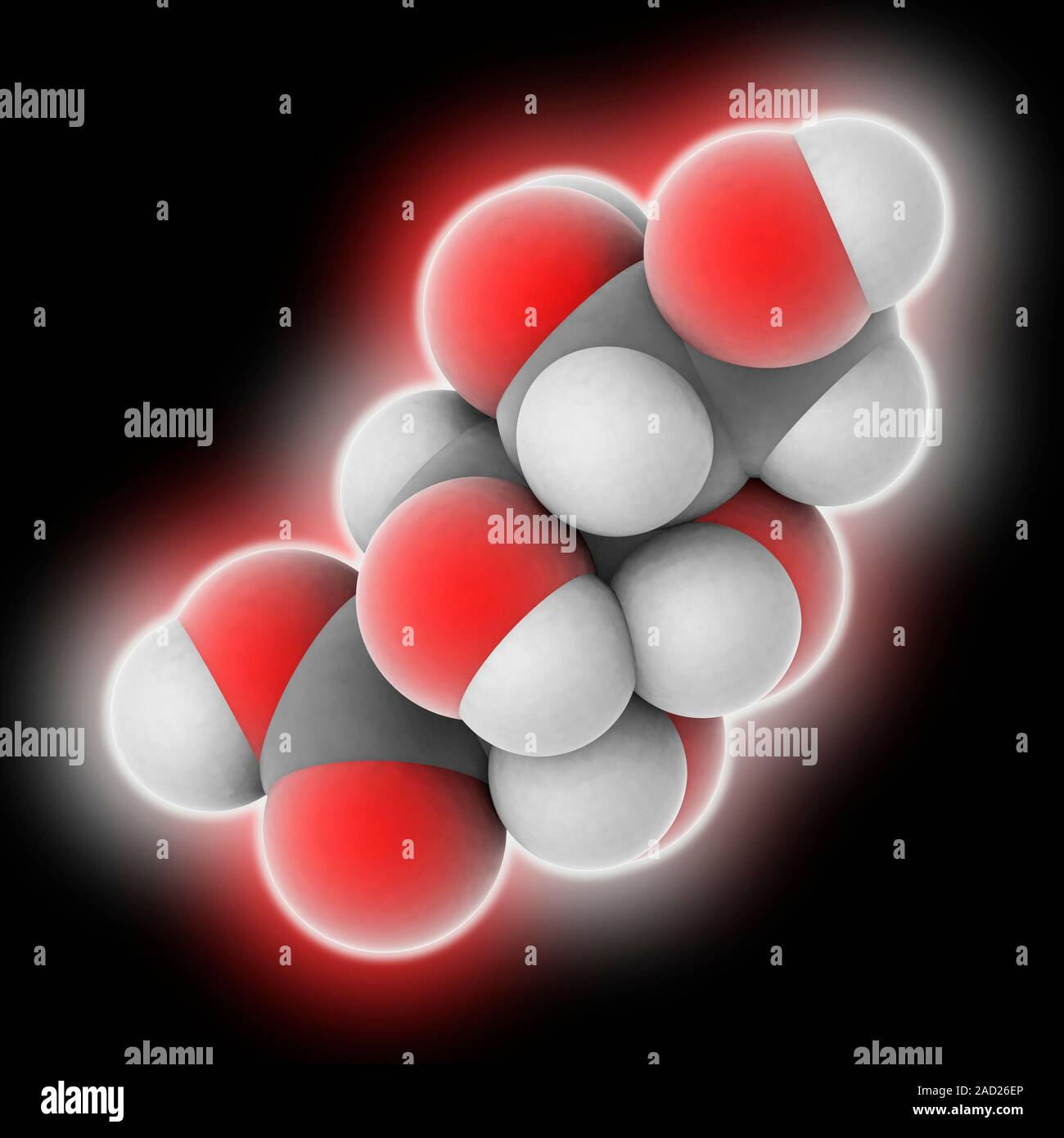 Gluconic acid. Molecular model of the organic compound gluconic acid ...
