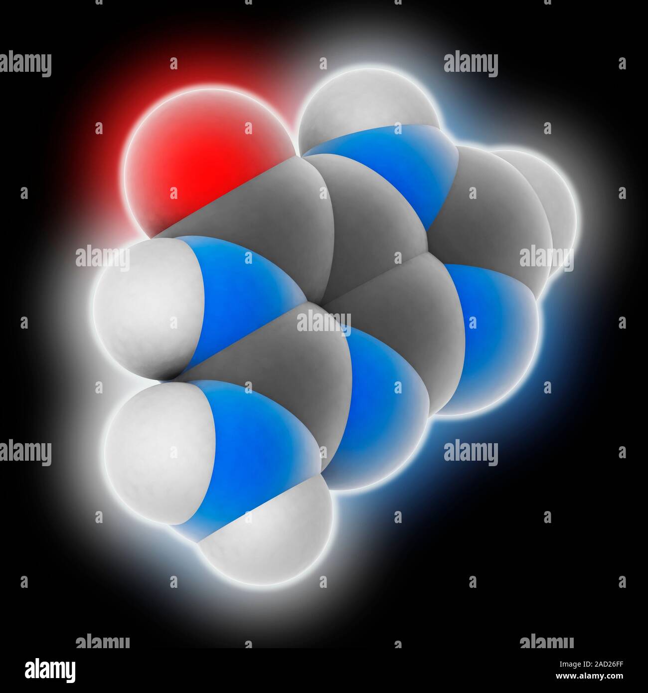 Guanine. Molecular model of the nucleobase guanine (C5.H5.N5.O). This ...