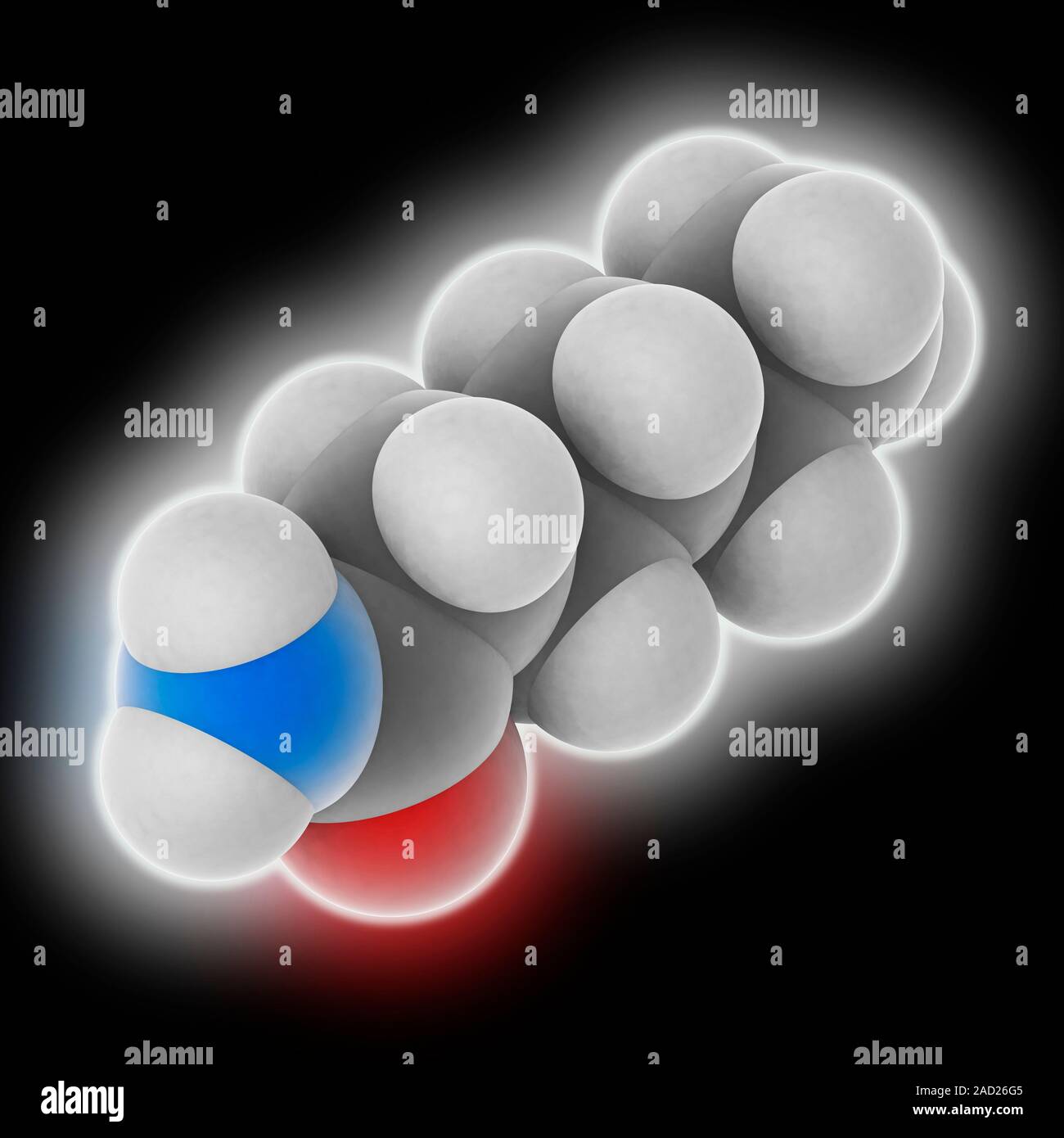 Hexanamide. Molecular model of the organic compound and amide ...