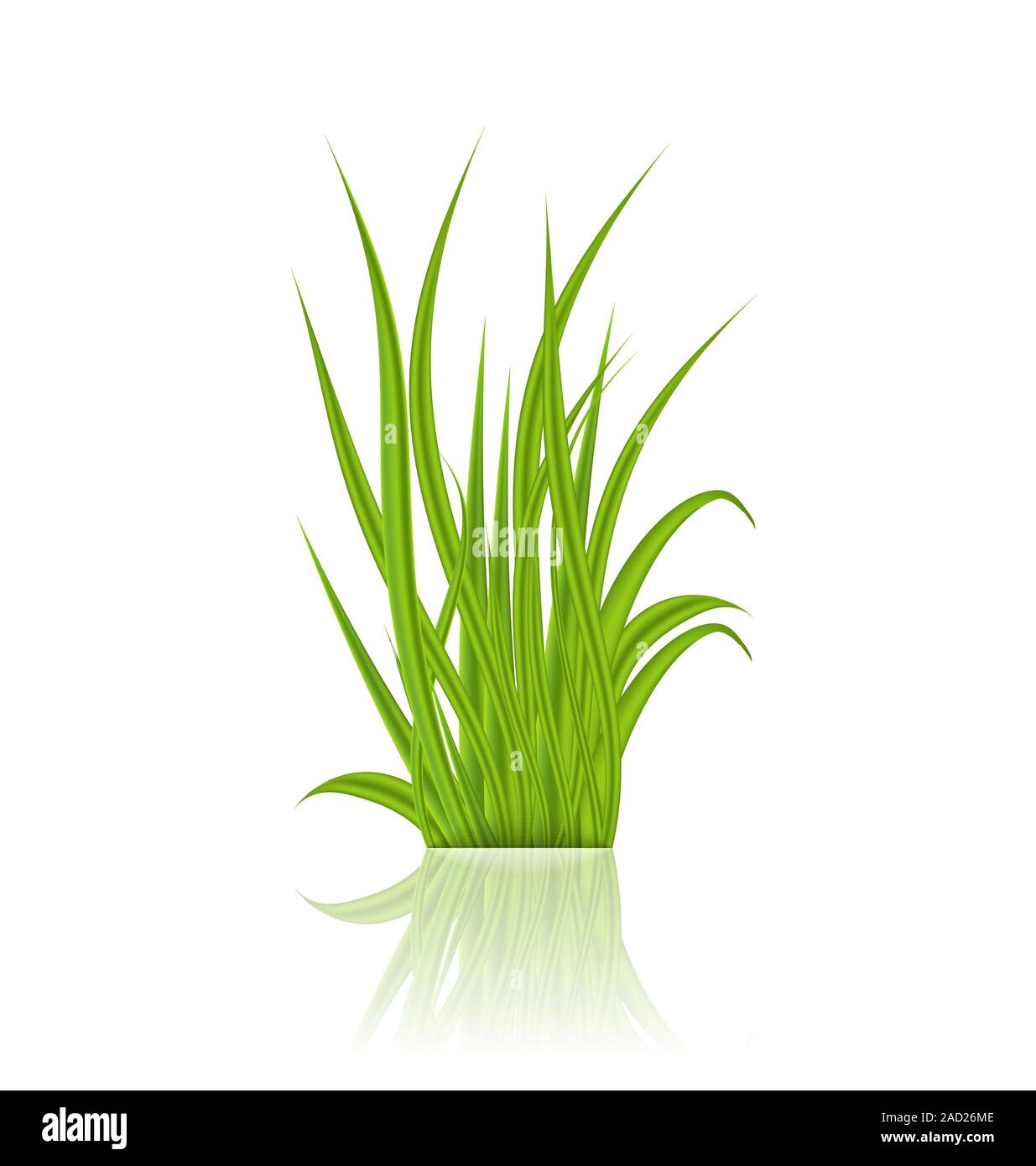 Garden grass summer Cut Out Stock Images & Pictures - Alamy