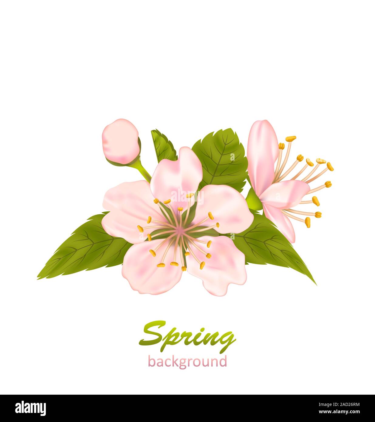 Plum blossom flower vector art Cut Out Stock Images & Pictures - Alamy