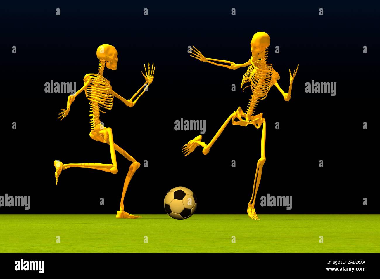 Illustration of two skeletons playing football Stock Photo - Alamy