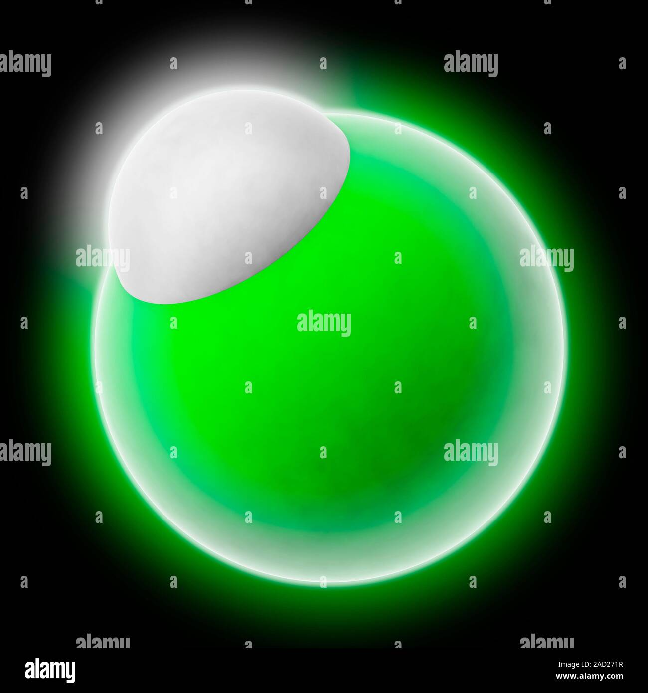 Hydrochloric acid. Molecular model of the halide and mineral acid ...