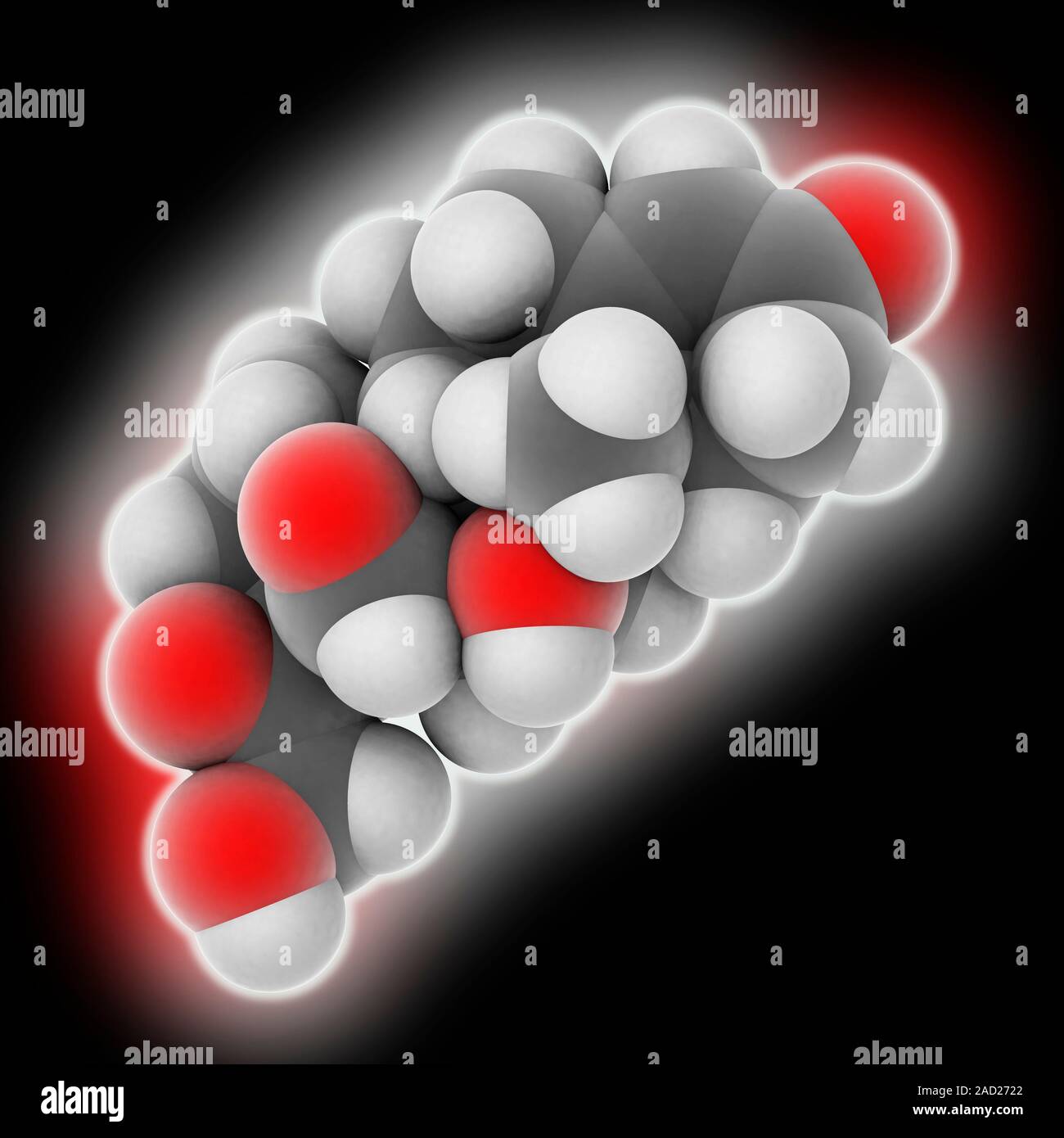 Hydrocortisone. Molecular model of the steroid hormone hydrocortisone ...