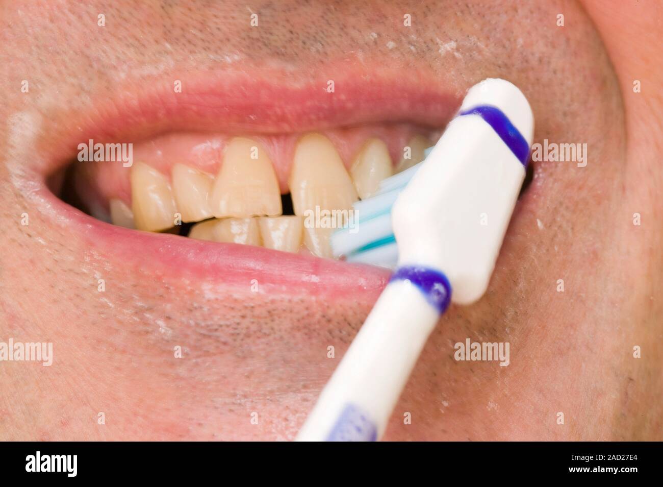 A man brushing his teeth Stock Photo - Alamy