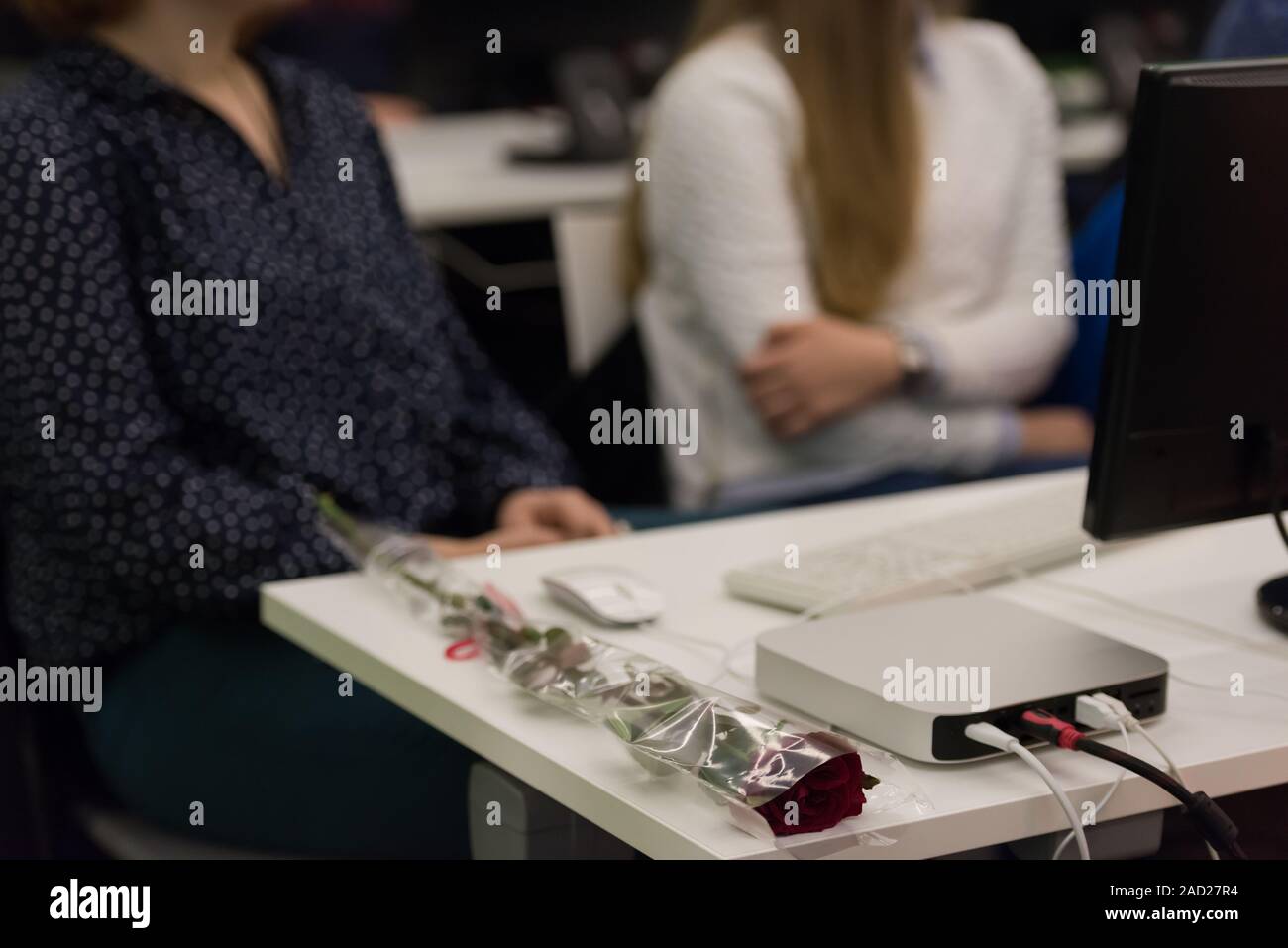 rose flower on famale students table on class Stock Photo - Alamy