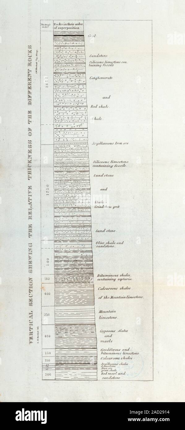 Rock strata diagram entitled Vertical section showing the relative ...