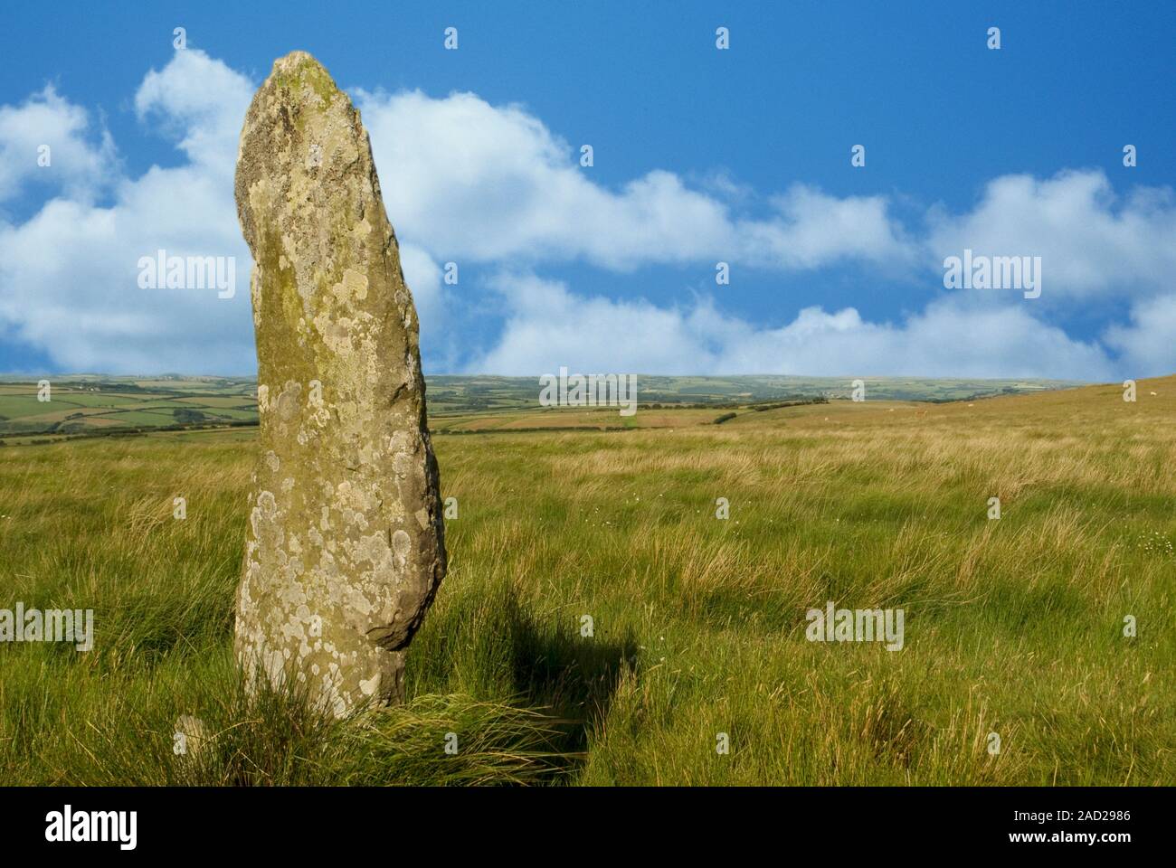Challacombe longstone. A Bronze Age standing stone on Challacombe ...
