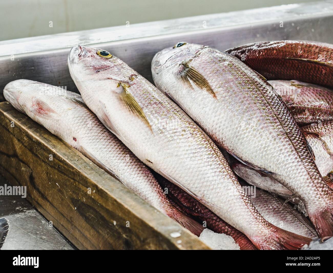 Fresh fish at the fish market. Close-up Stock Photo - Alamy