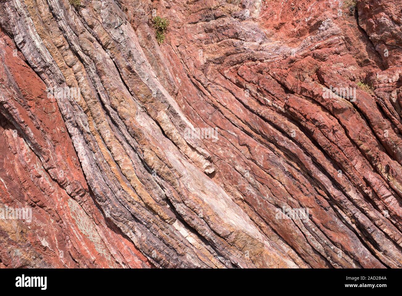 Folded strata on the coast of Kythira, Greece. The term fold is used in ...