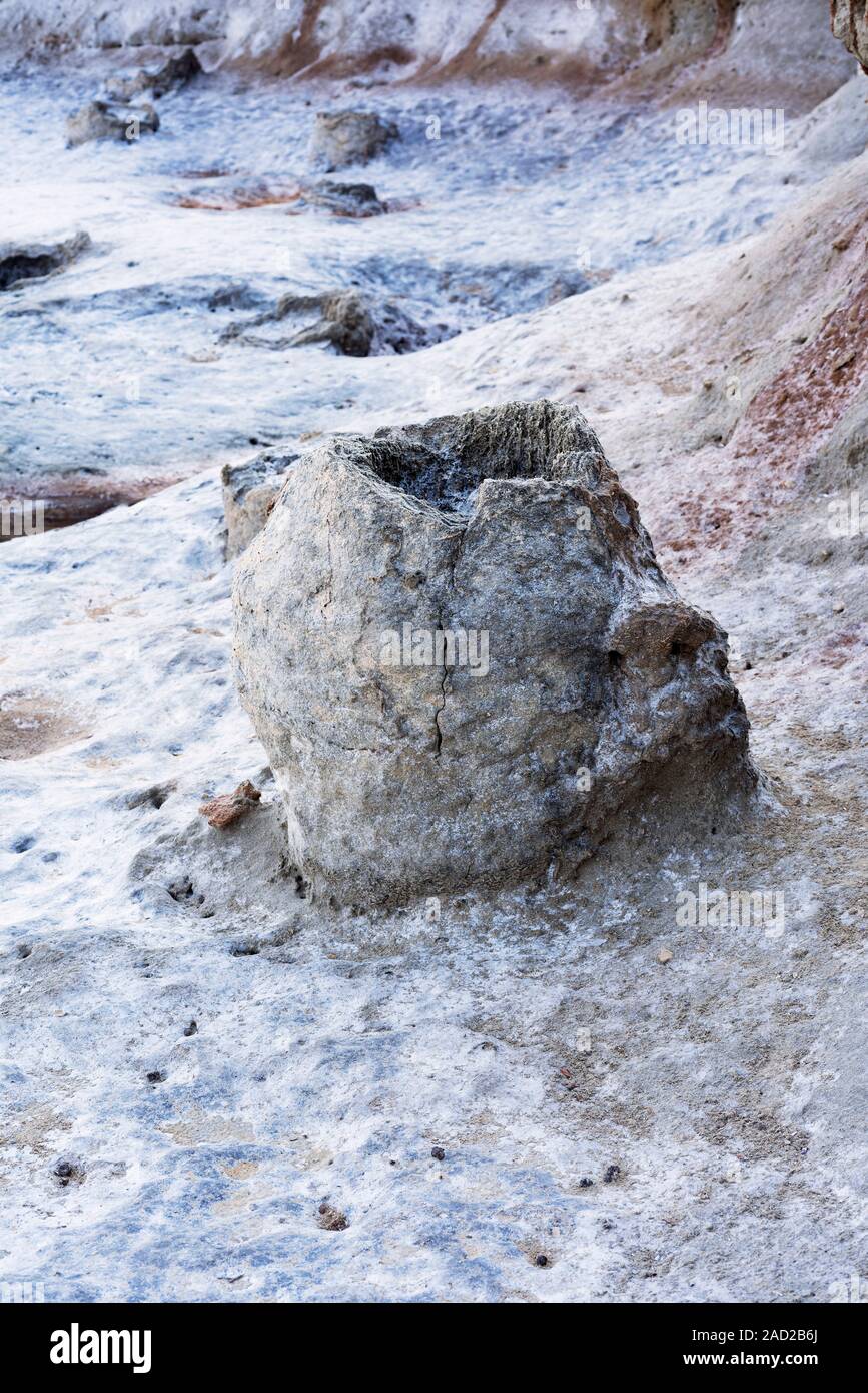 Stump of a fossil palm tree, near Neapoli, Greece. It forms when plant ...