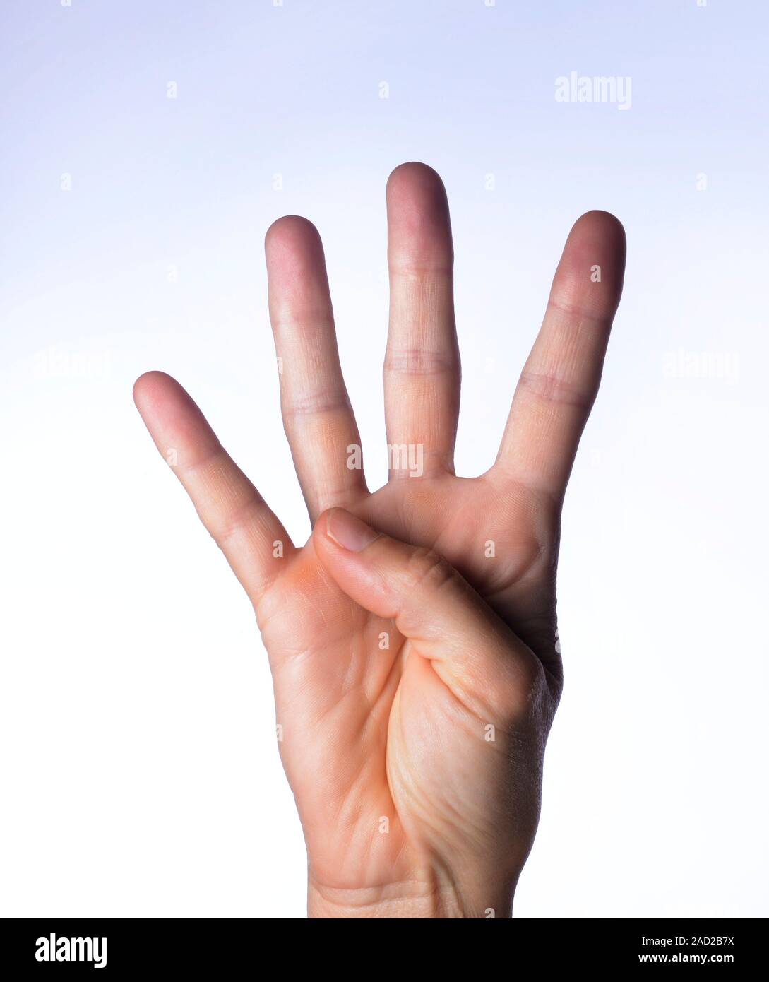 Hand with four fingers held up Stock Photo - Alamy