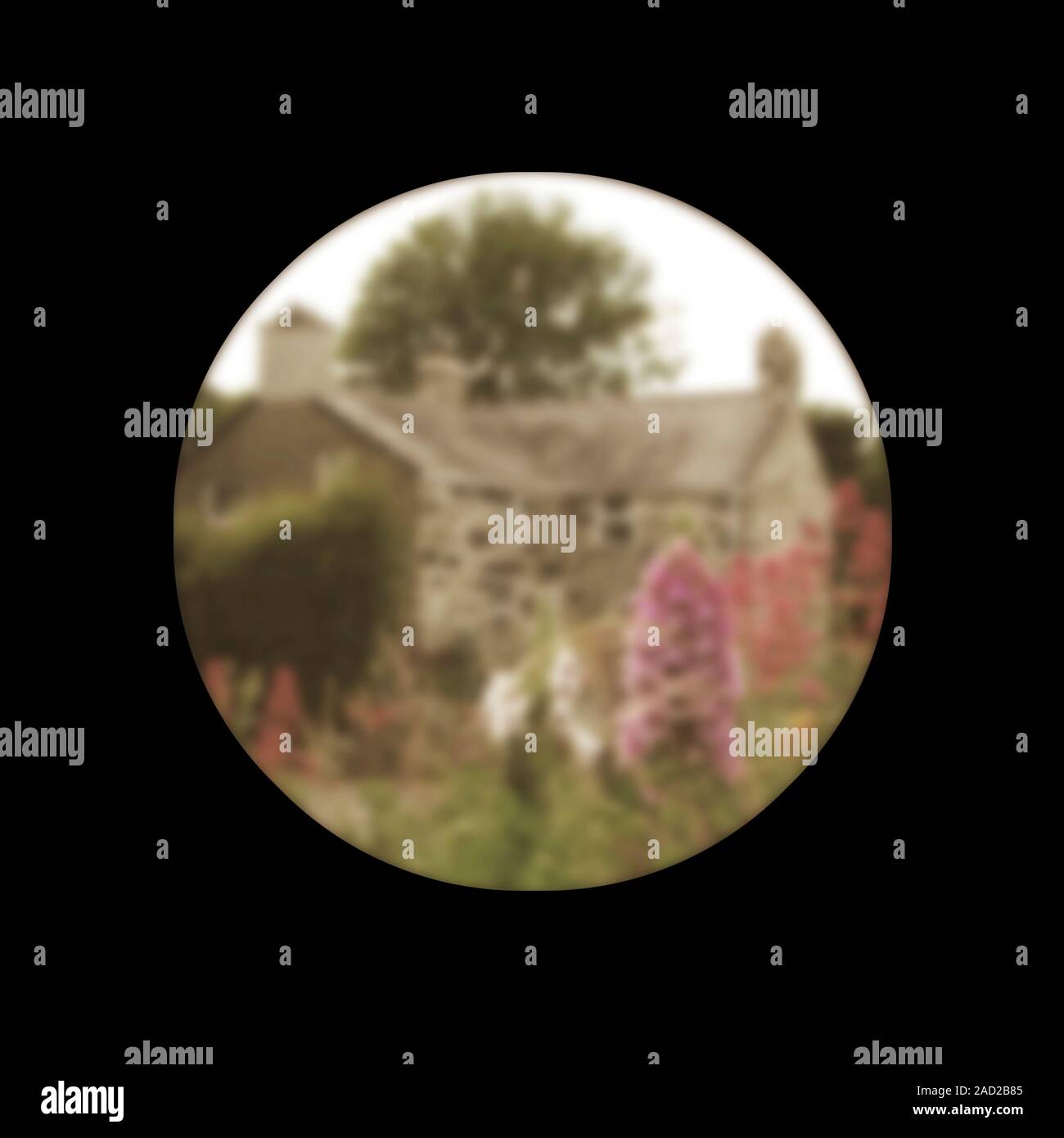 Cataract. Simulated view of a cottage and garden, as seen by someone ...