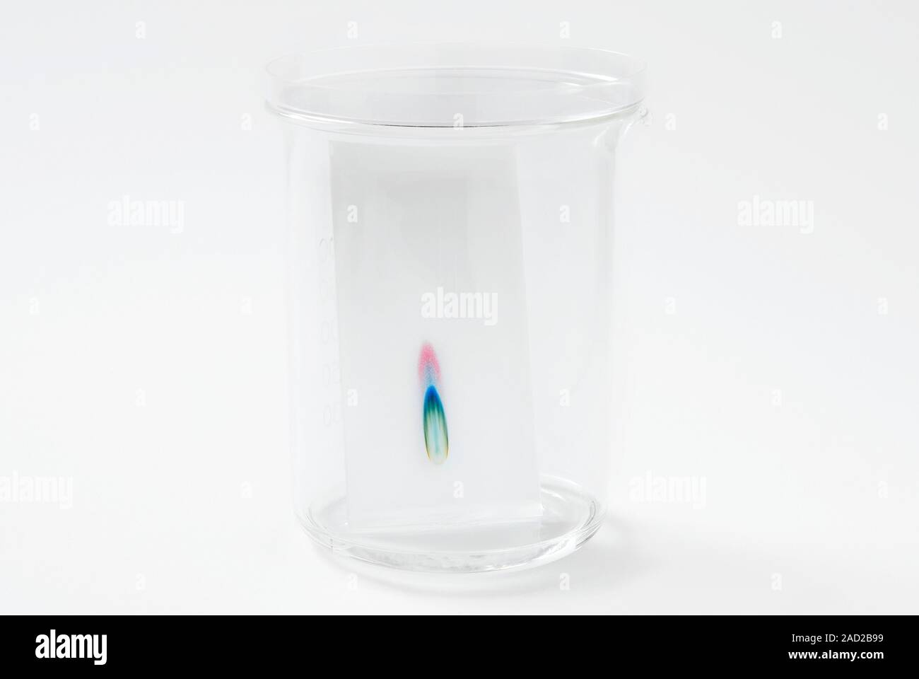 Thin-layer chromatography (TLC) plate in a beaker, showing separated ...