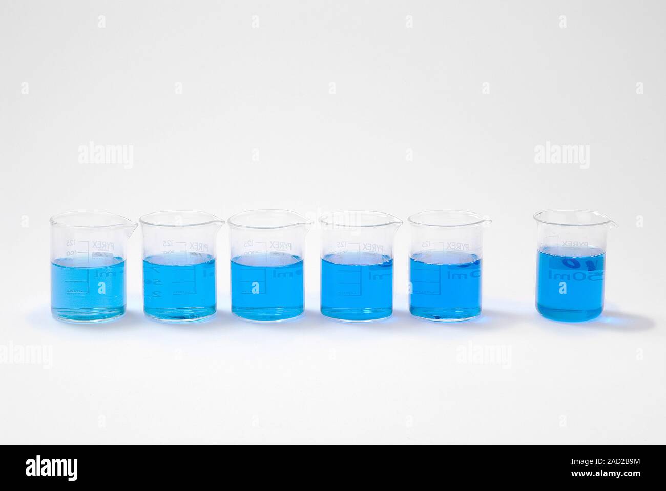 Copper sulphate solutions. Beakers containing six different ...