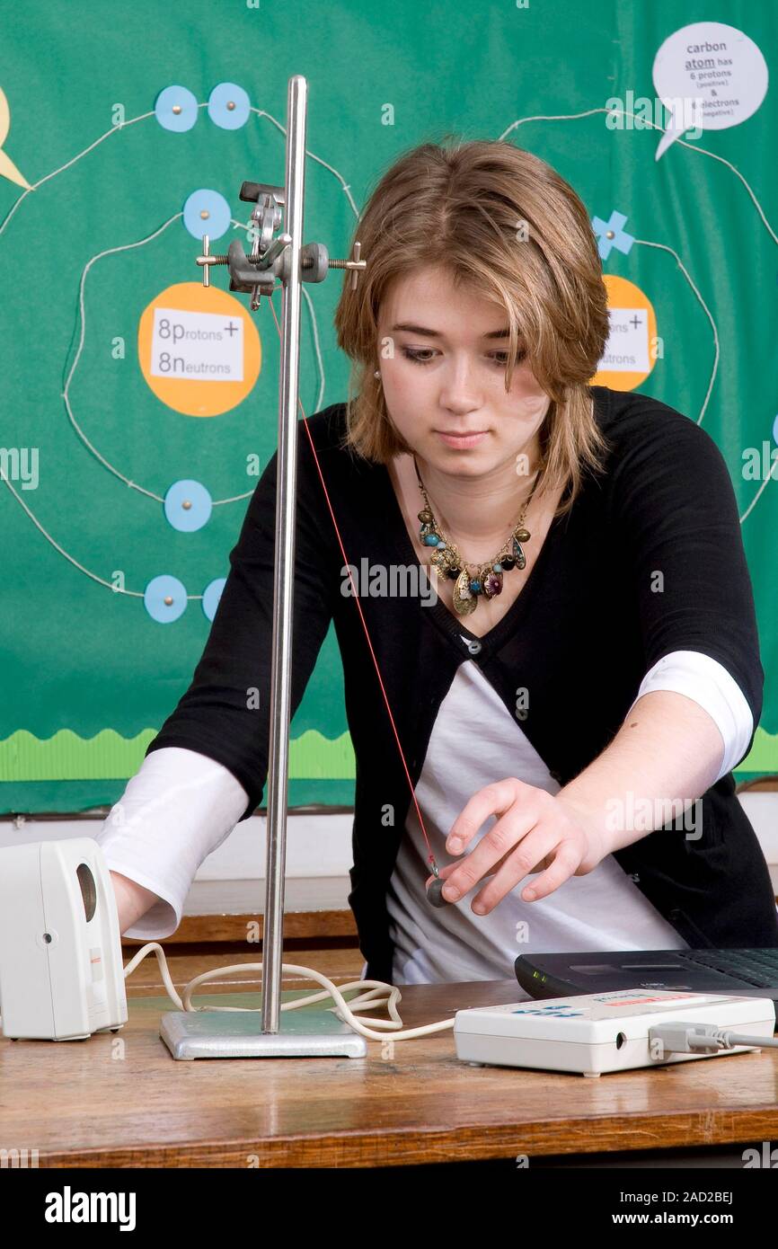 Investigating pendulum swing. Student monitoring the swing of a ...
