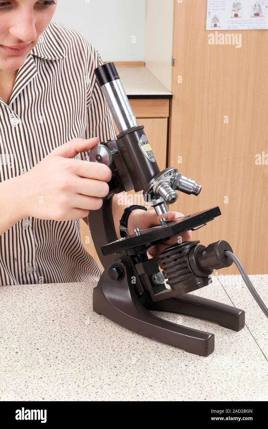 Setting up a microscope. Student adjusting an optical microscope before ...
