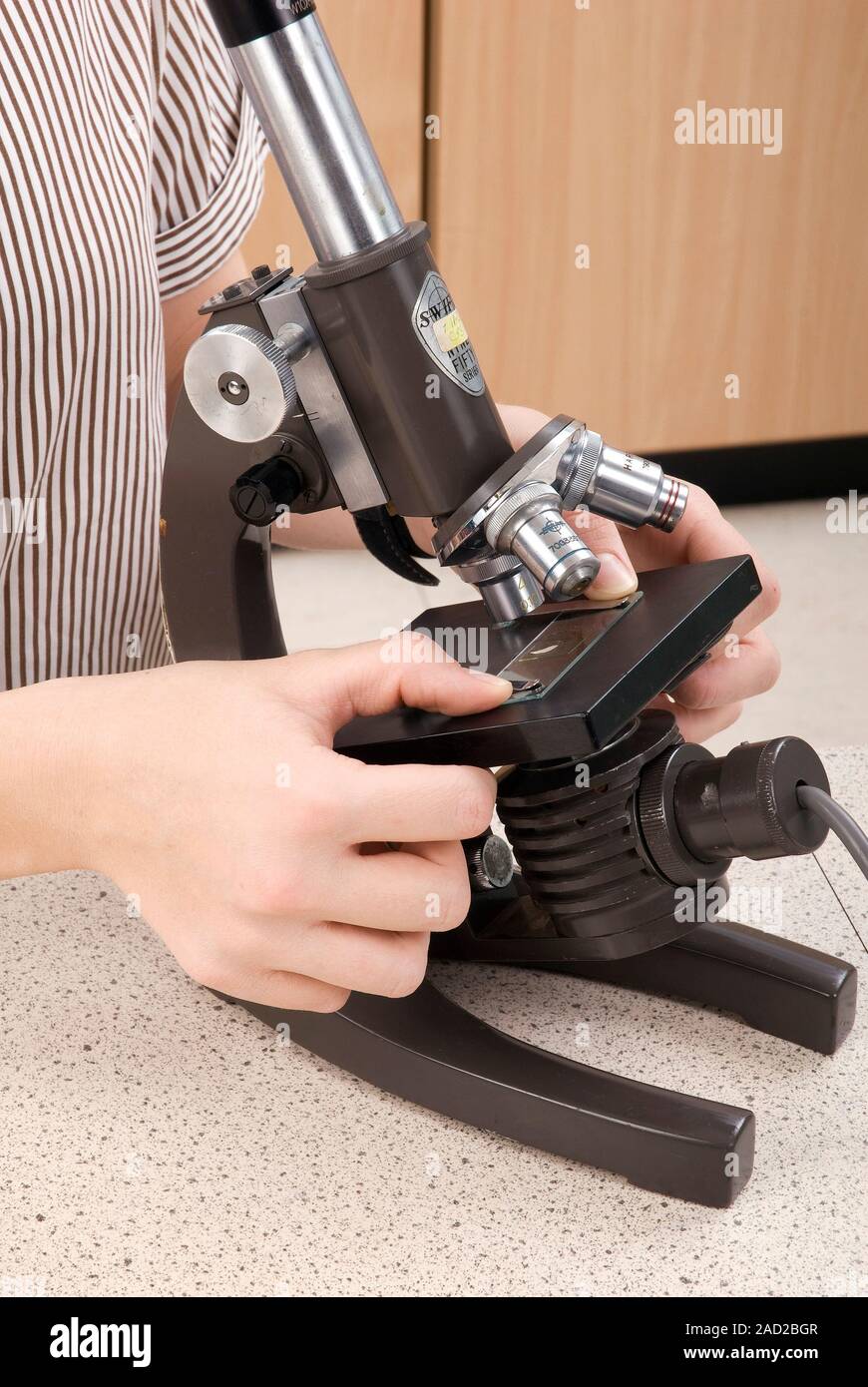 Setting up a microscope. Student adjusting an optical microscope before ...