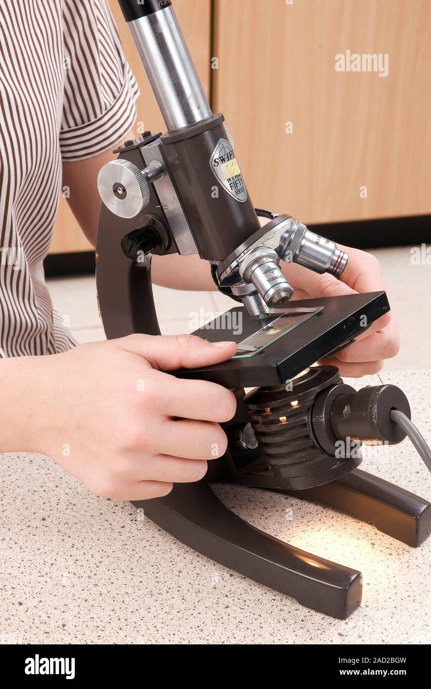 Setting up a microscope. Student adjusting an optical microscope before ...