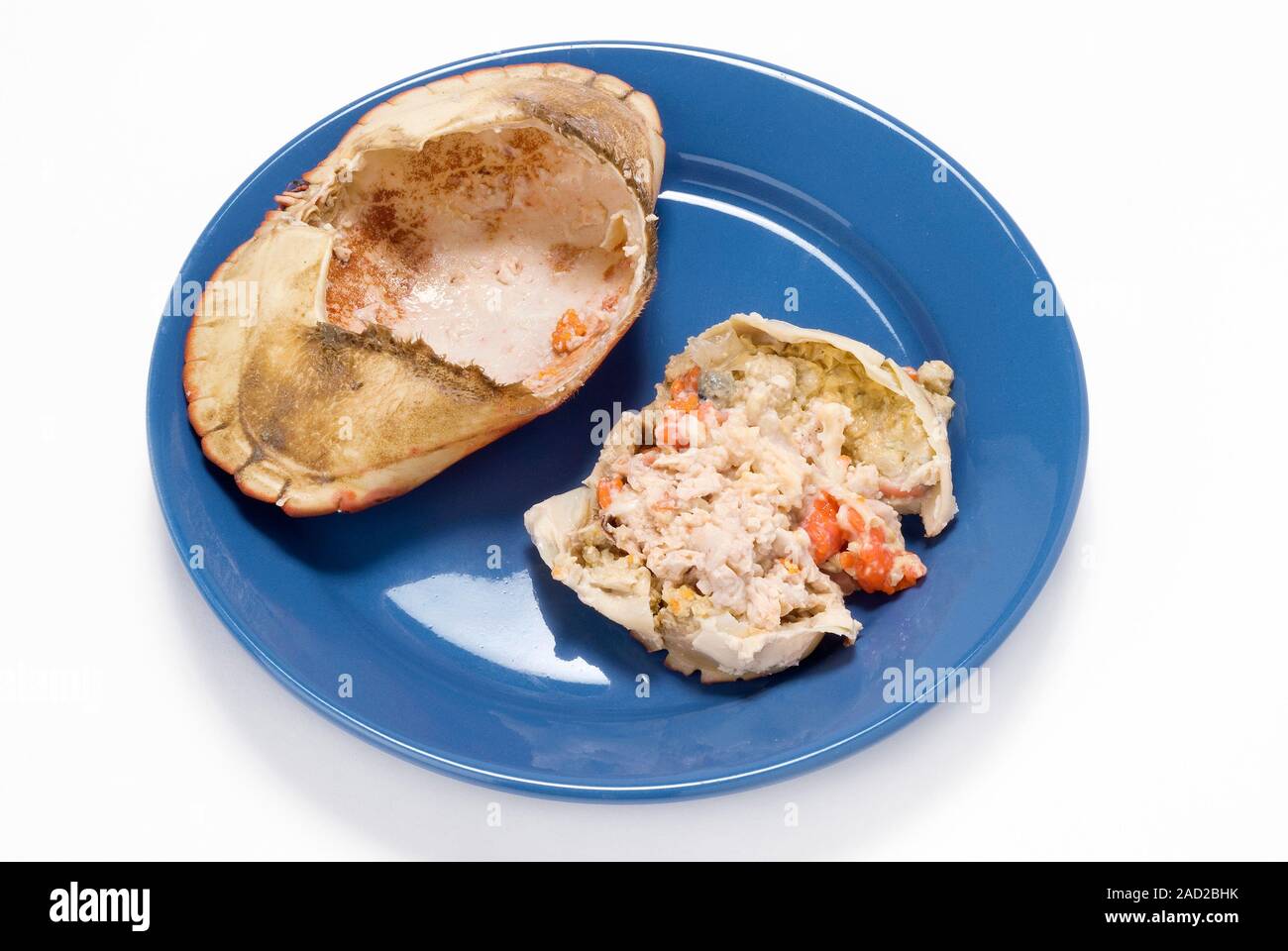 Hollowed out crab. Crab shell (left) with the legs (not shown) and ...