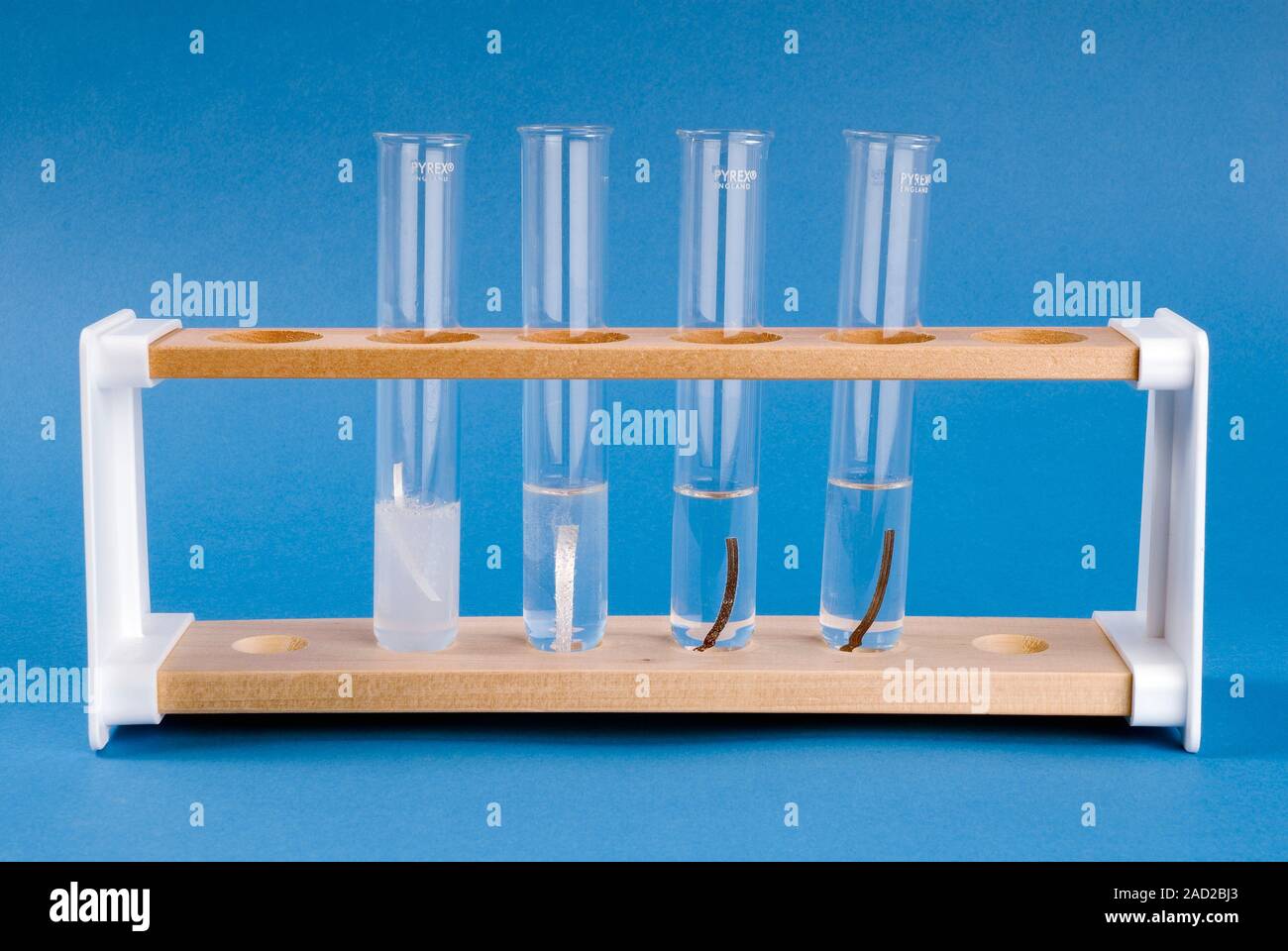 Reactivity of magnesium. Test tubes containing a strip of magnesium ...